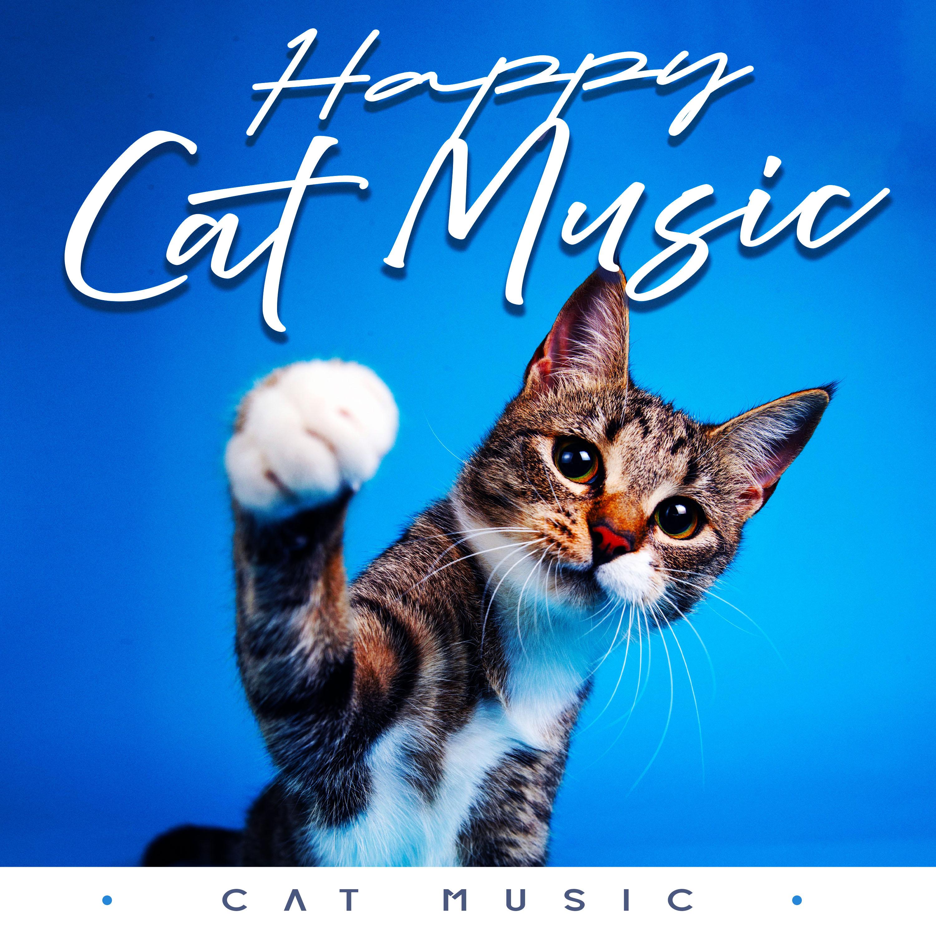 Gang Tabby - Cat Music - 单曲 - 网易云音乐