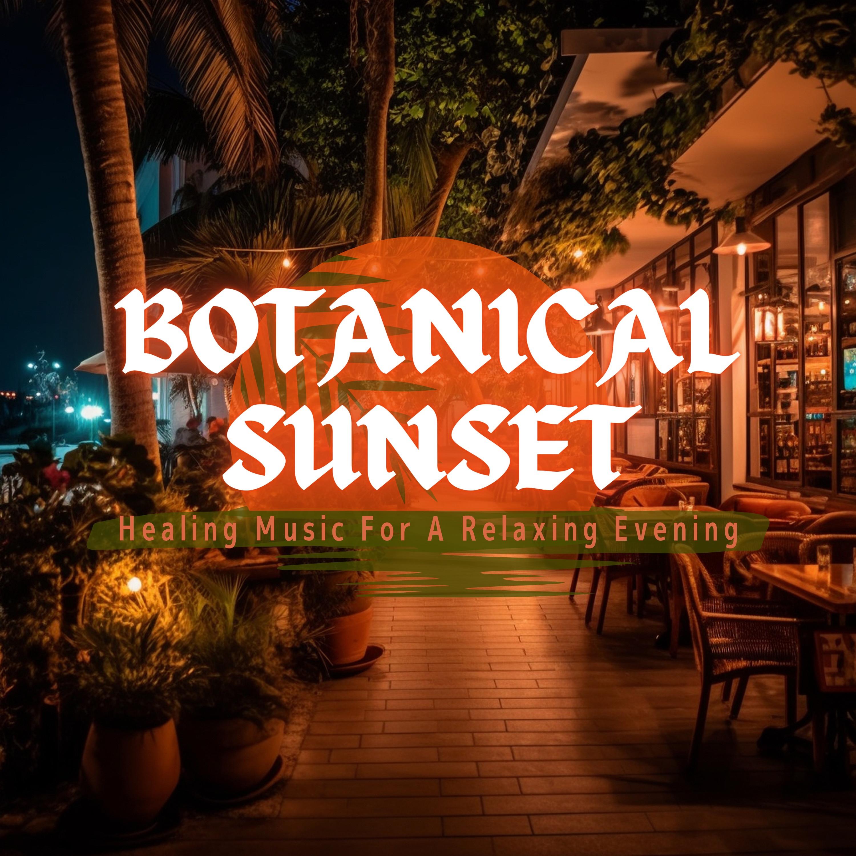 Dreamy Sighs at Sundown - Botanical Sunset - 单曲 - 网易云音乐