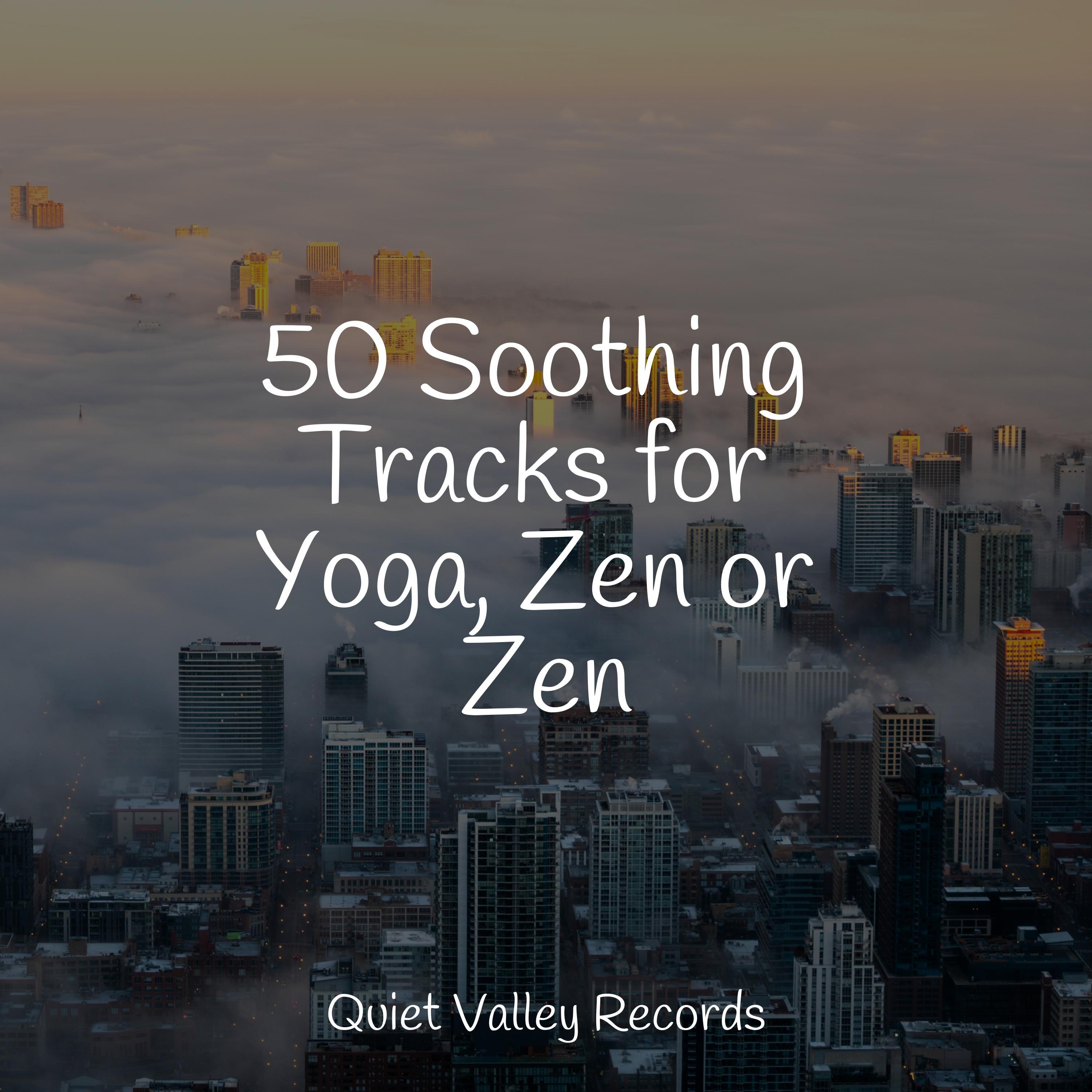 50 Soothing Tracks for Yoga, Zen or Zen - Active Baby Music Workshop ...