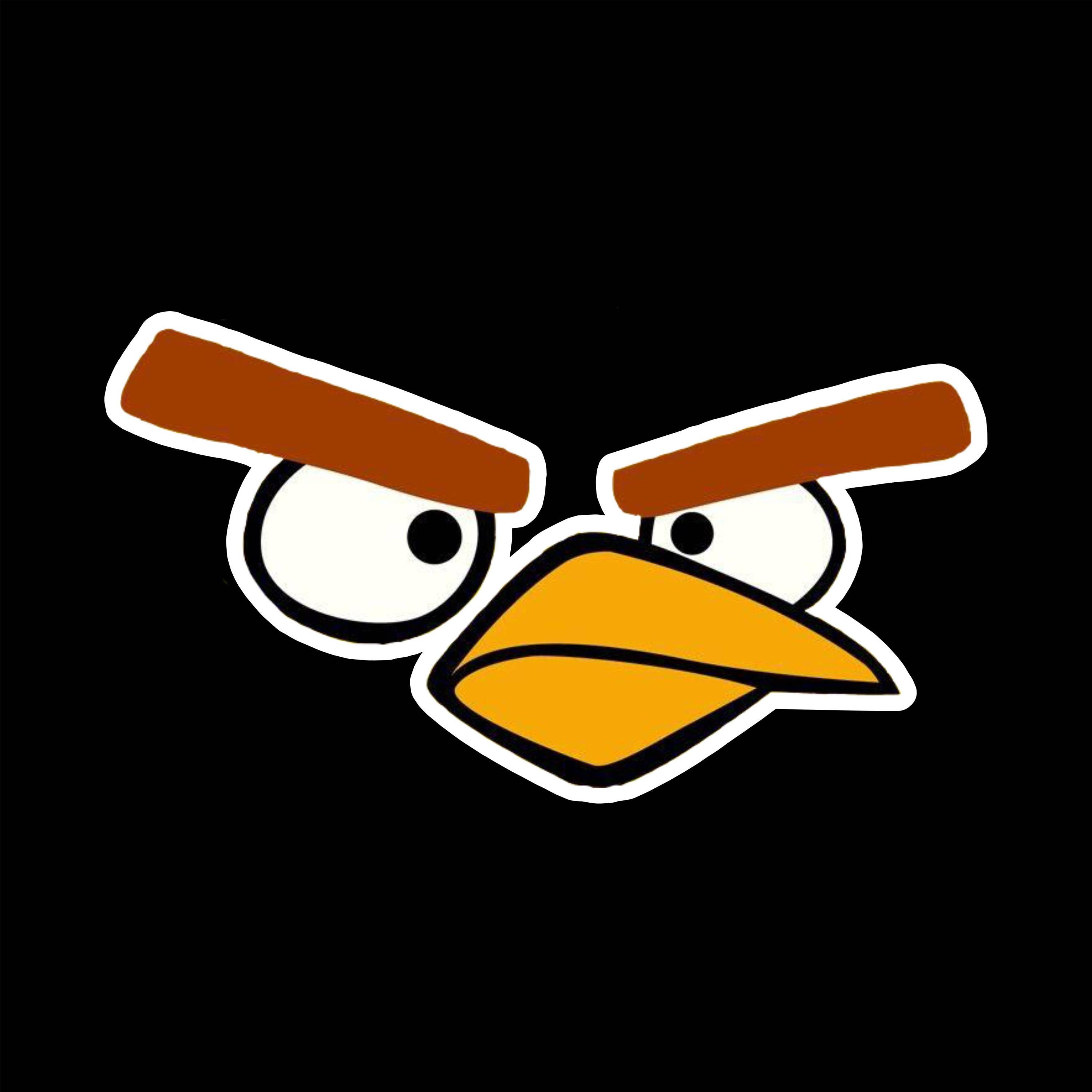 Angry Bird - JACOB MOUNTAIN - 专辑 - 网易云音乐