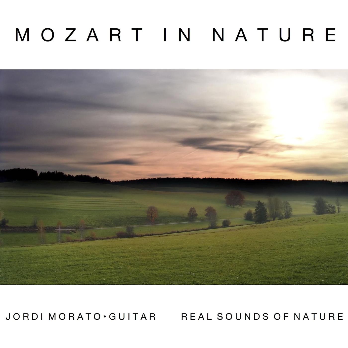Rondo in C Major, K. 373: Moderato (With Golden Pond) - Jordi Morato ...