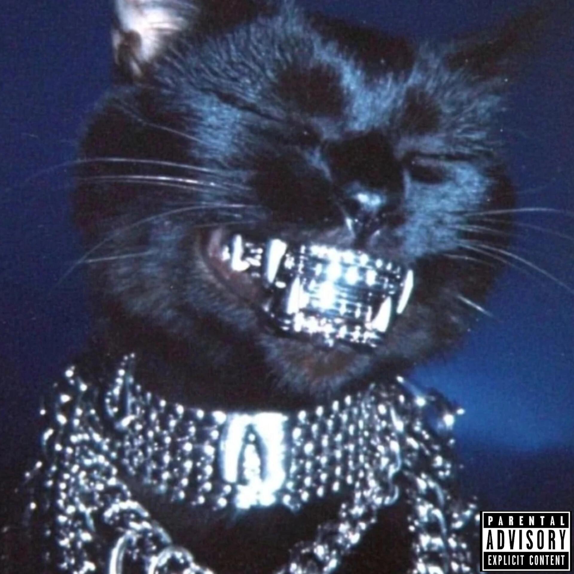 OEBLMPV(O Exótico Bizarro e Lindo Mundo De Pós Vida) - Lil C4$h - 专辑 ...