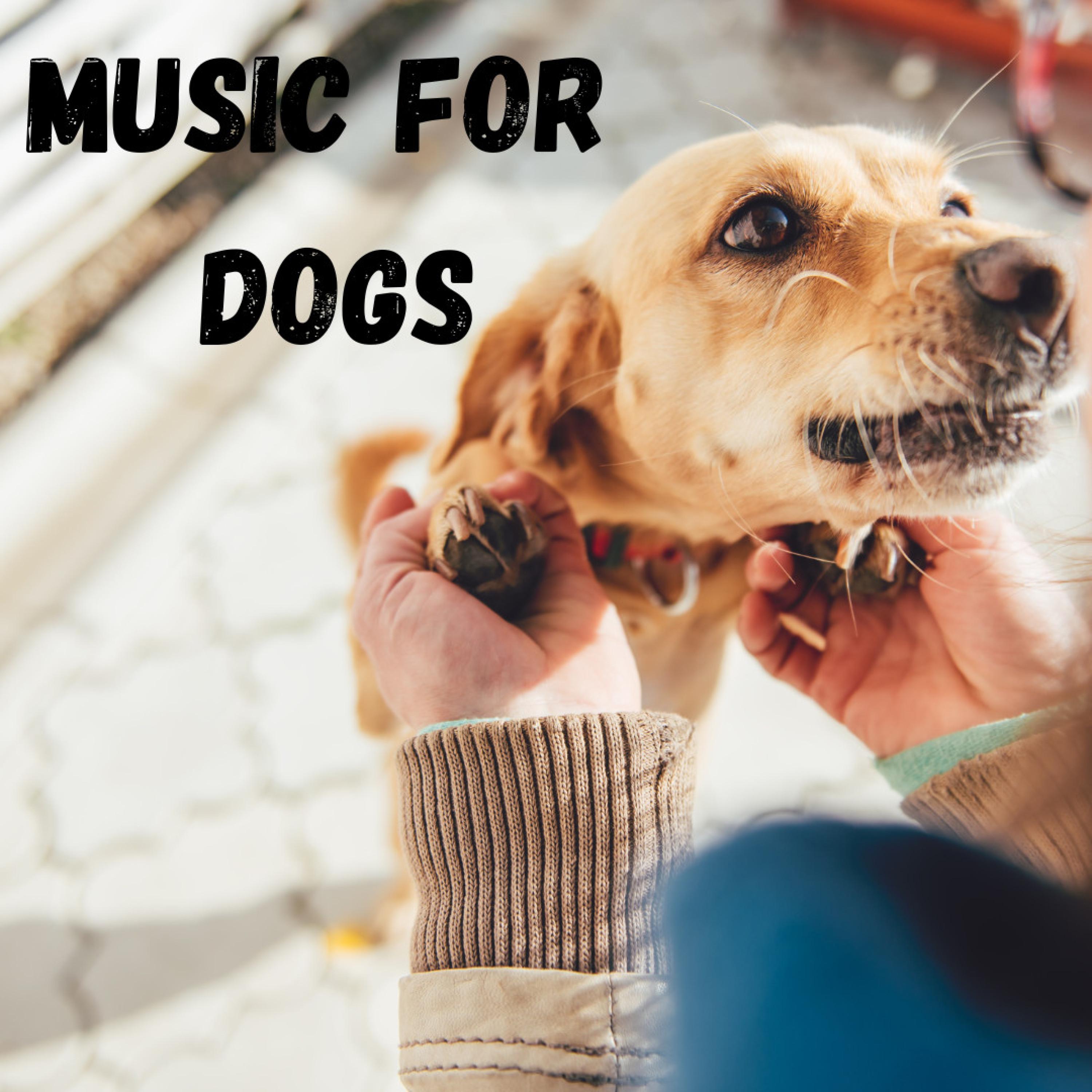 Everlasting Sleep - Music For Dogs/Music For Dogs Peace/Relaxing Puppy ...