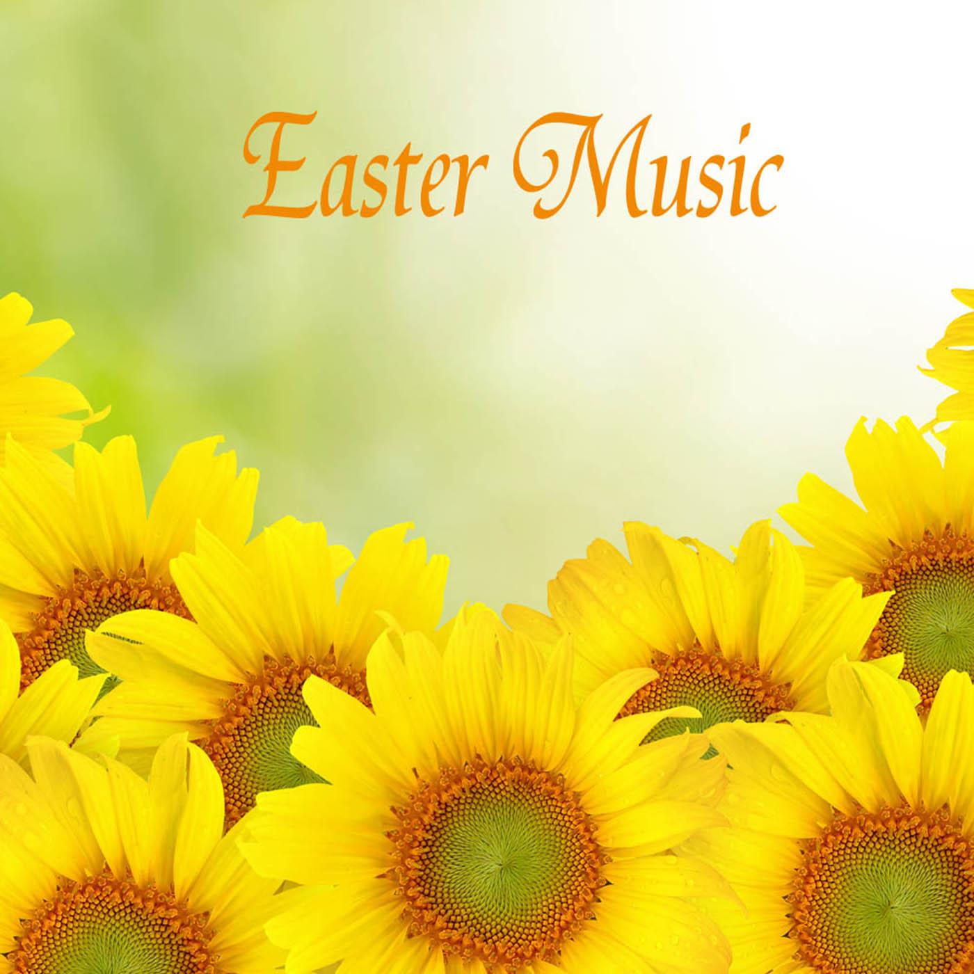 Rodney's Glory (Irish Folk Music) - Easter Music Specialists - 单曲 - 网易云音乐