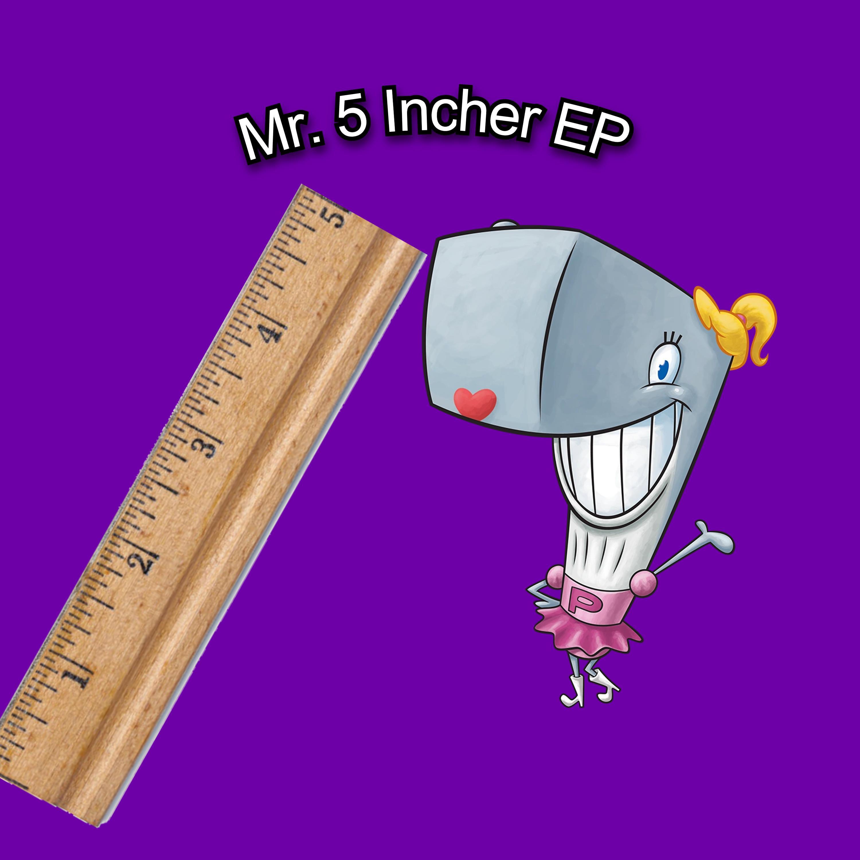 Mr 5 incher - Unknown Desires - 专辑 - 网易云音乐