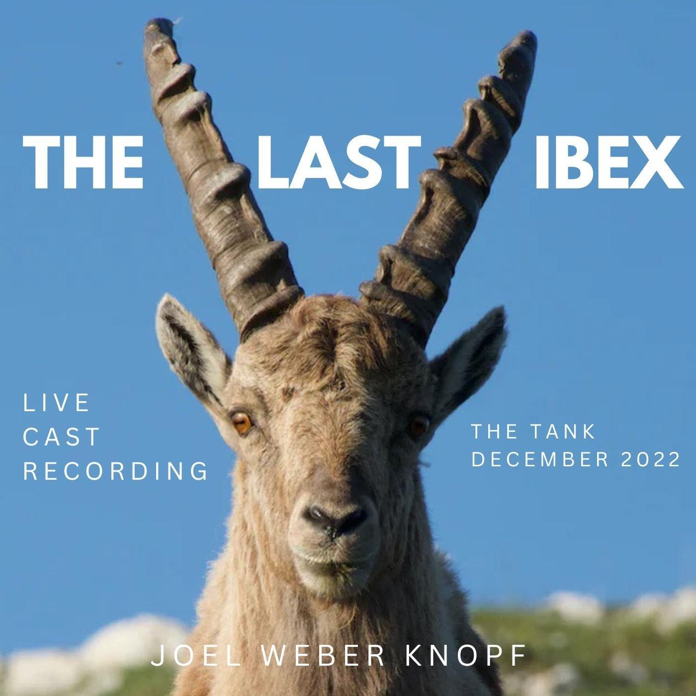 Pride in the Land (Live) [feat. Laura Dillman Frank] - Joel Weber Knopf ...