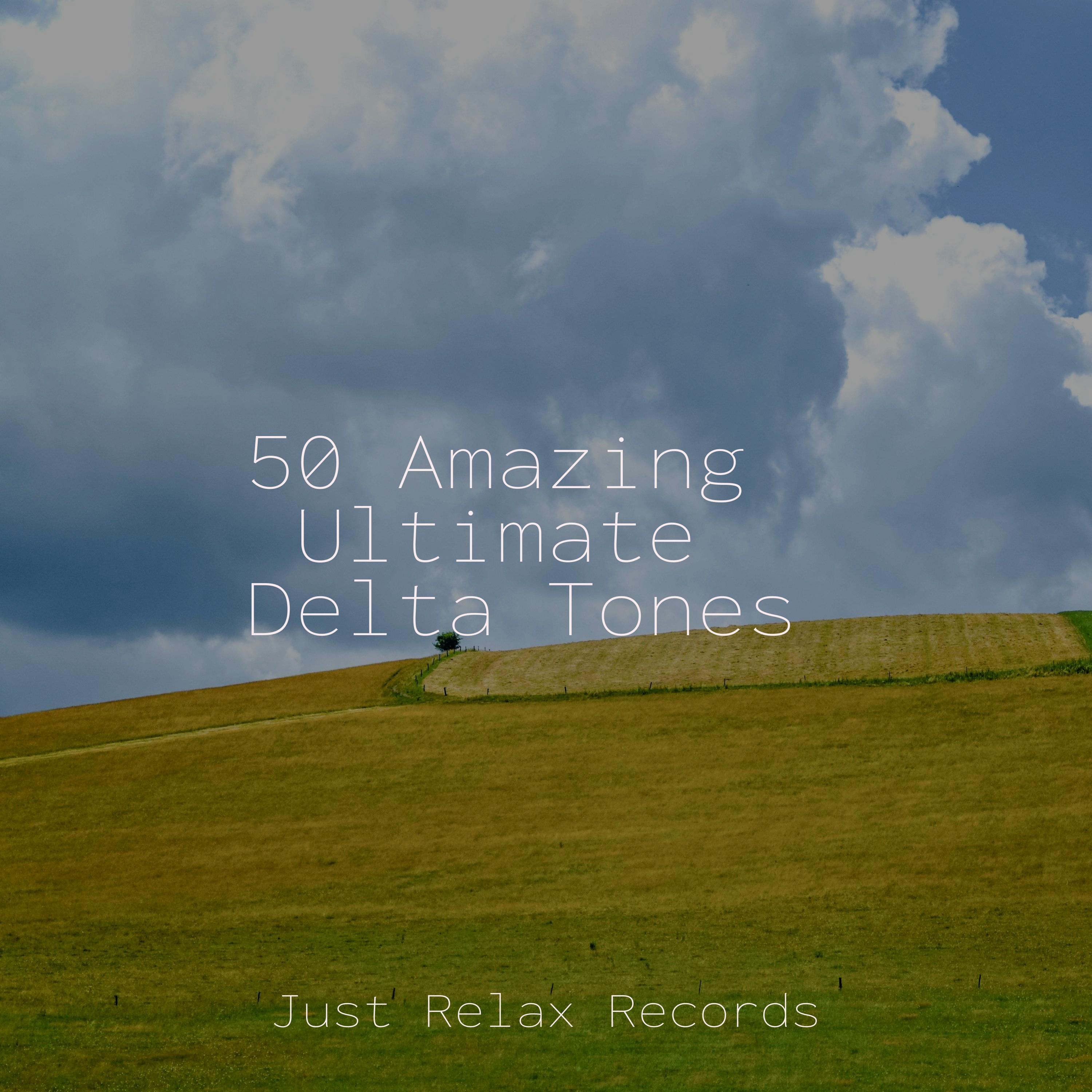 50 Amazing Ultimate Delta Tones - Dormir - 专辑 - 网易云音乐