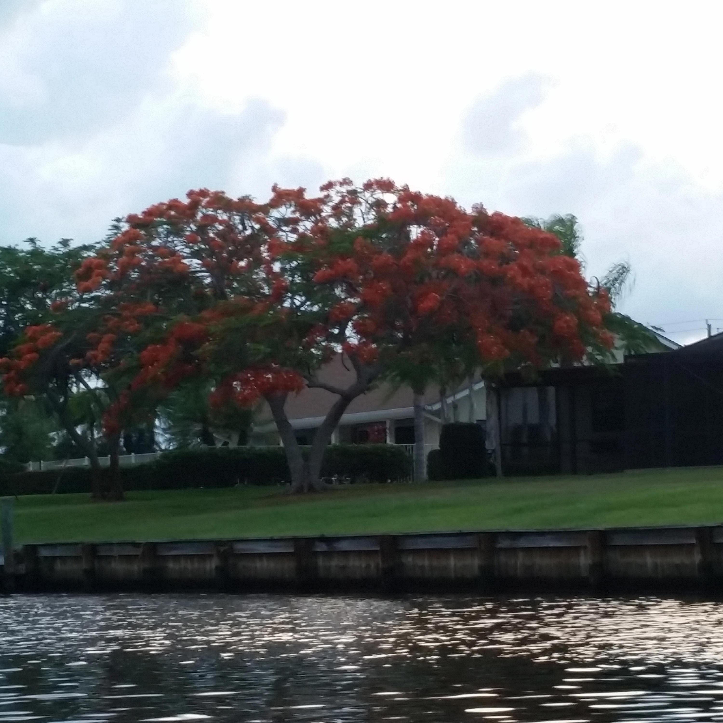 The Beginning - Mic Justice - 专辑 - 网易云音乐