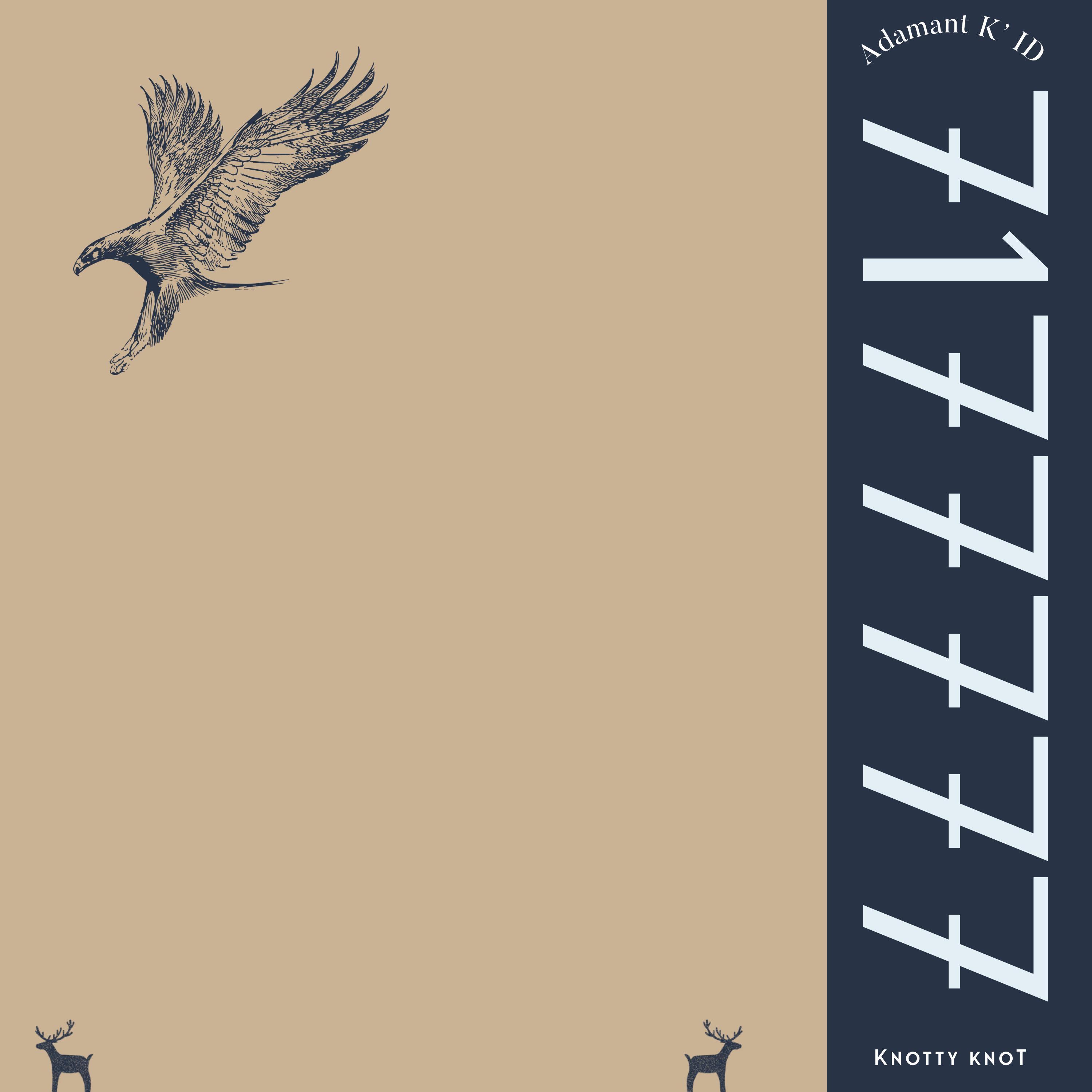 Too Much - Adamant K' ID - 单曲 - 网易云音乐