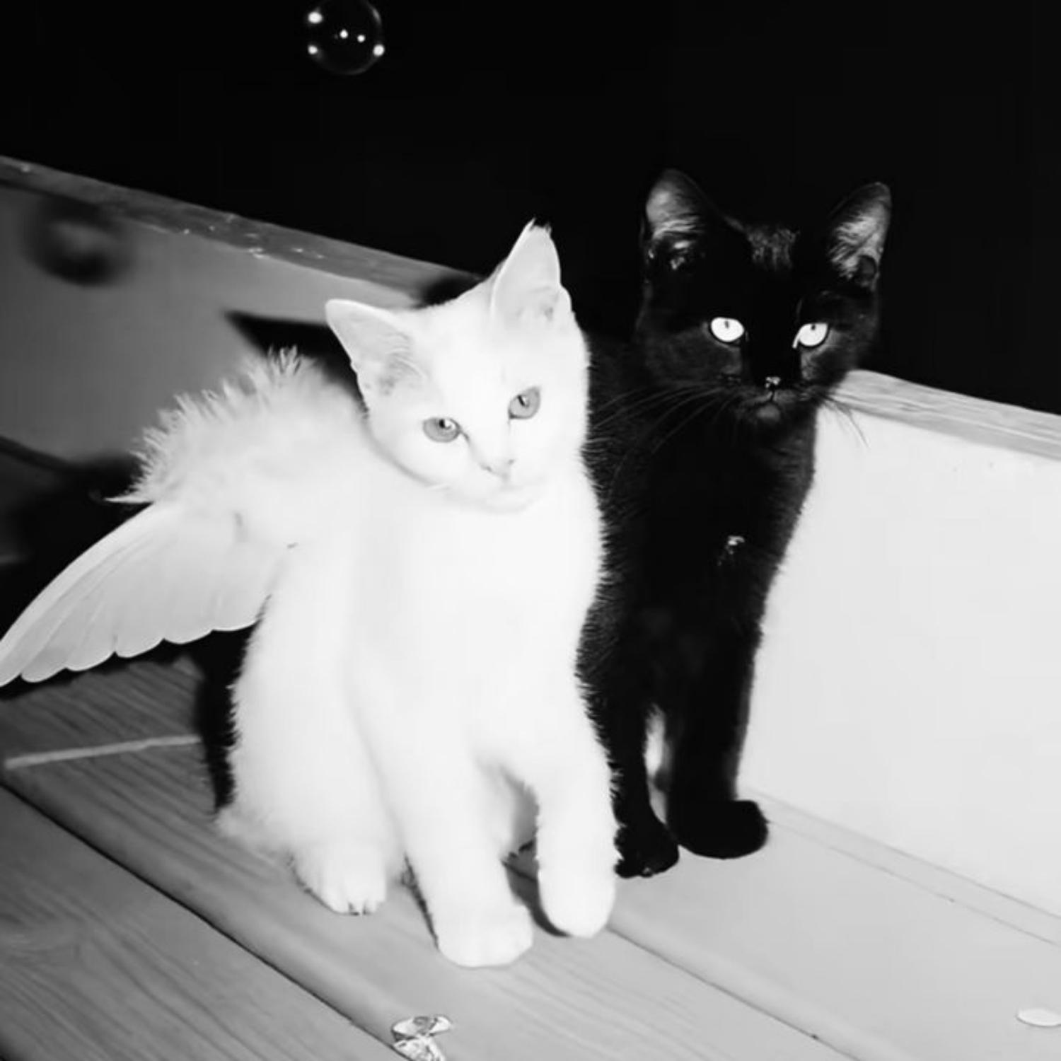 Zero in Bloom - Jalen Verrox - 单曲 - 网易云音乐