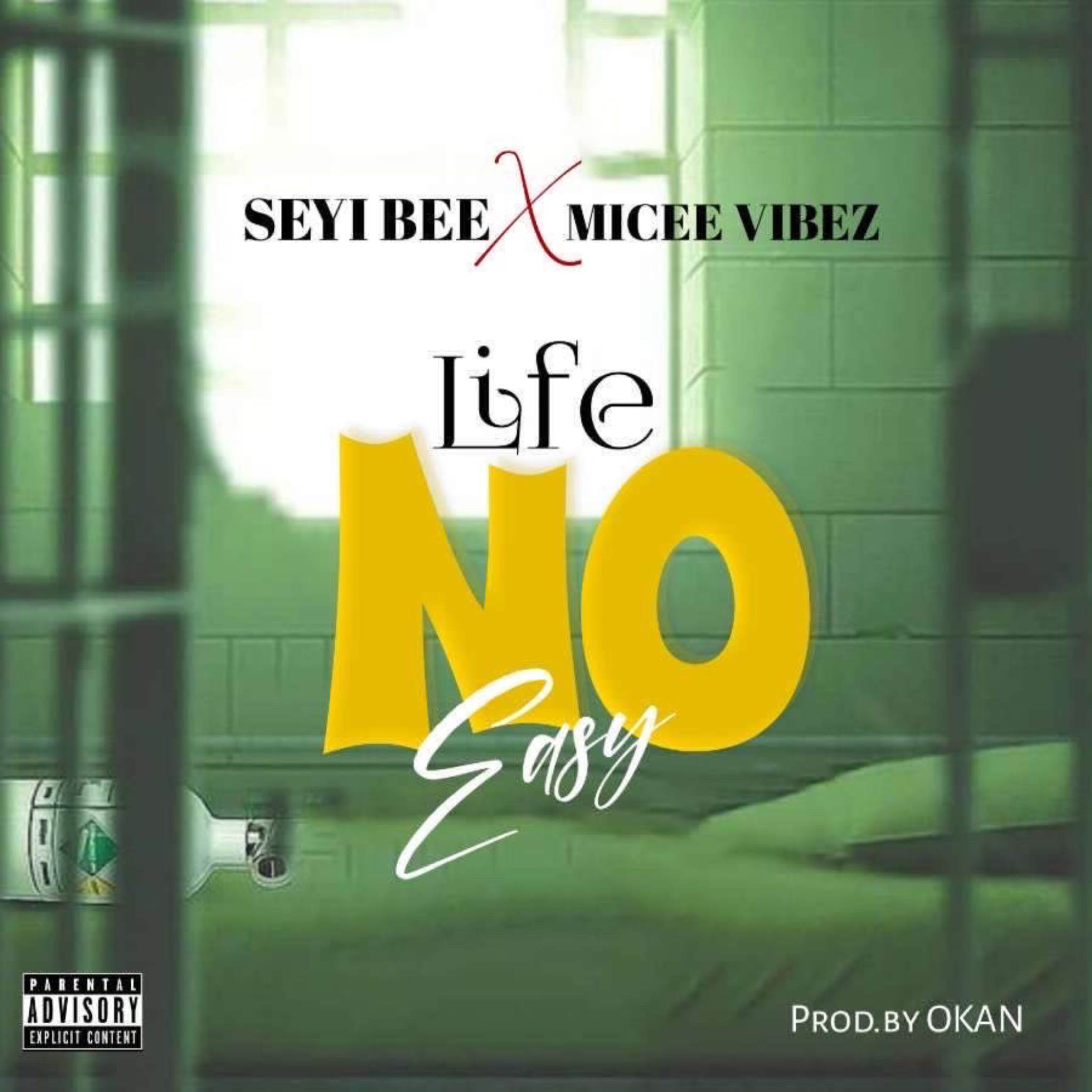 Life No Easy - Seyi bee/Micee Vibez - 单曲 - 网易云音乐