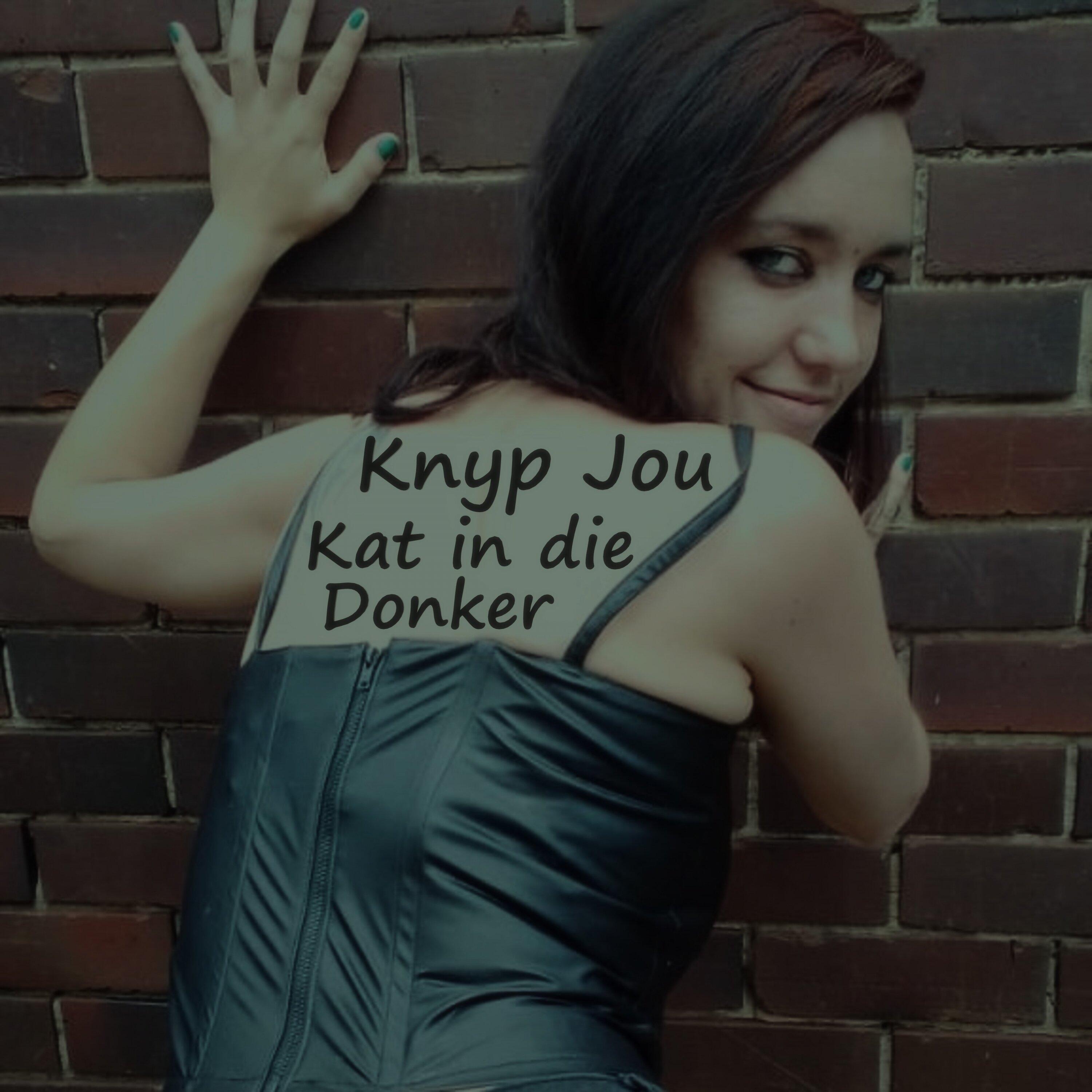 Knyp Jou Kat in die Donker - Bernard Harold Curgenven - 单曲 - 网易云音乐