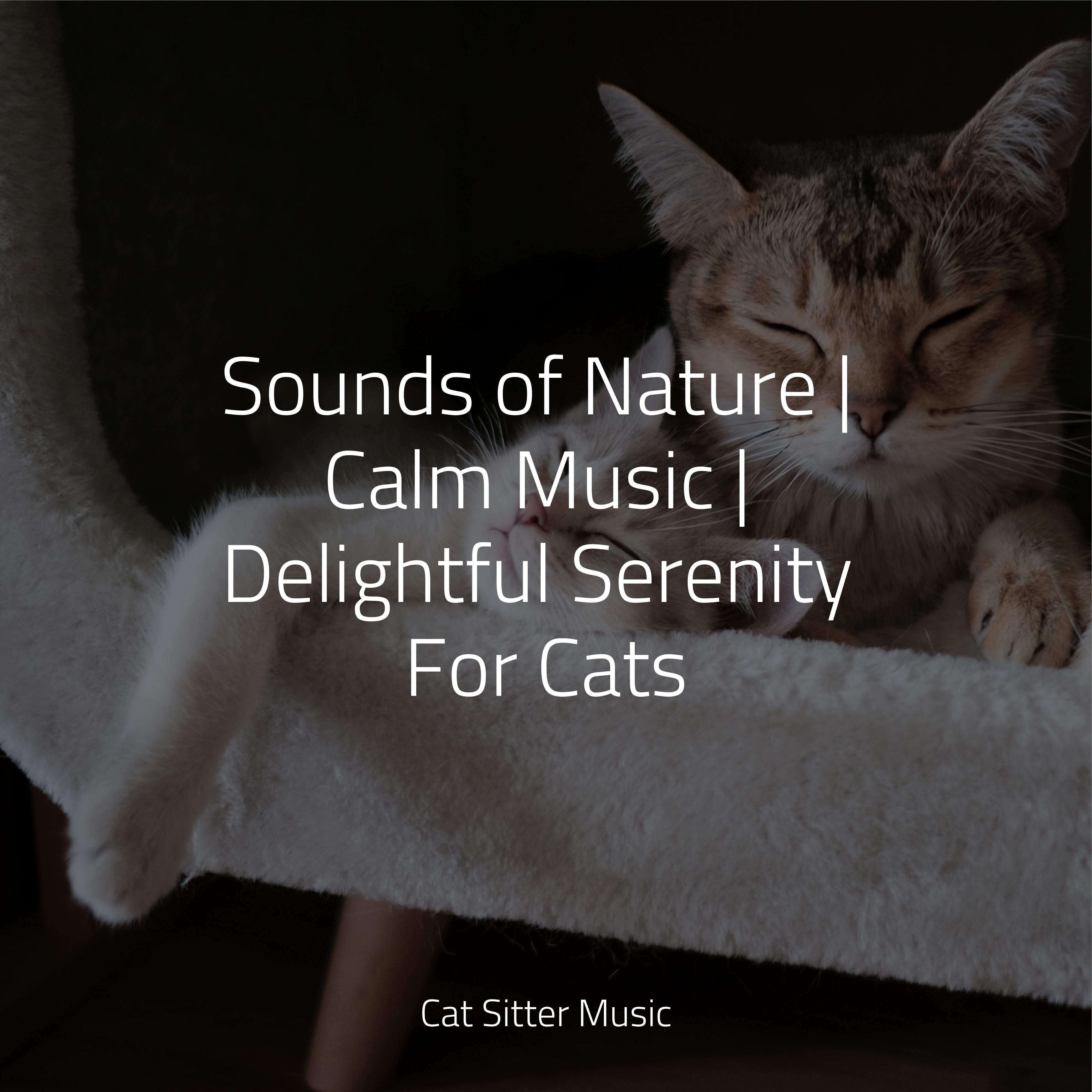 Low Frequency Waves - Music for Relaxing Cats/Calm Music for Cats/Cat ...