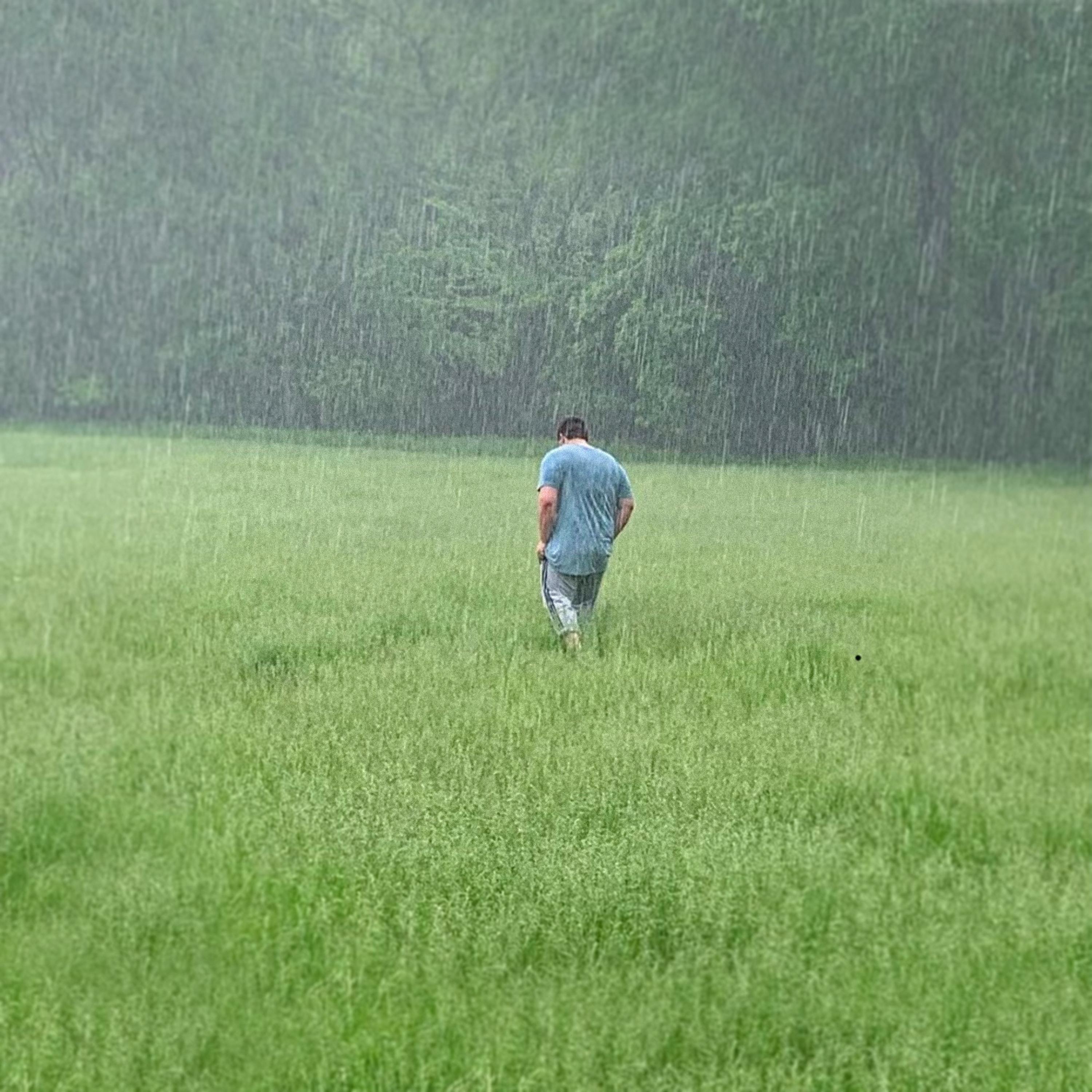 Somebody Like You - Max McDermott - 单曲 - 网易云音乐