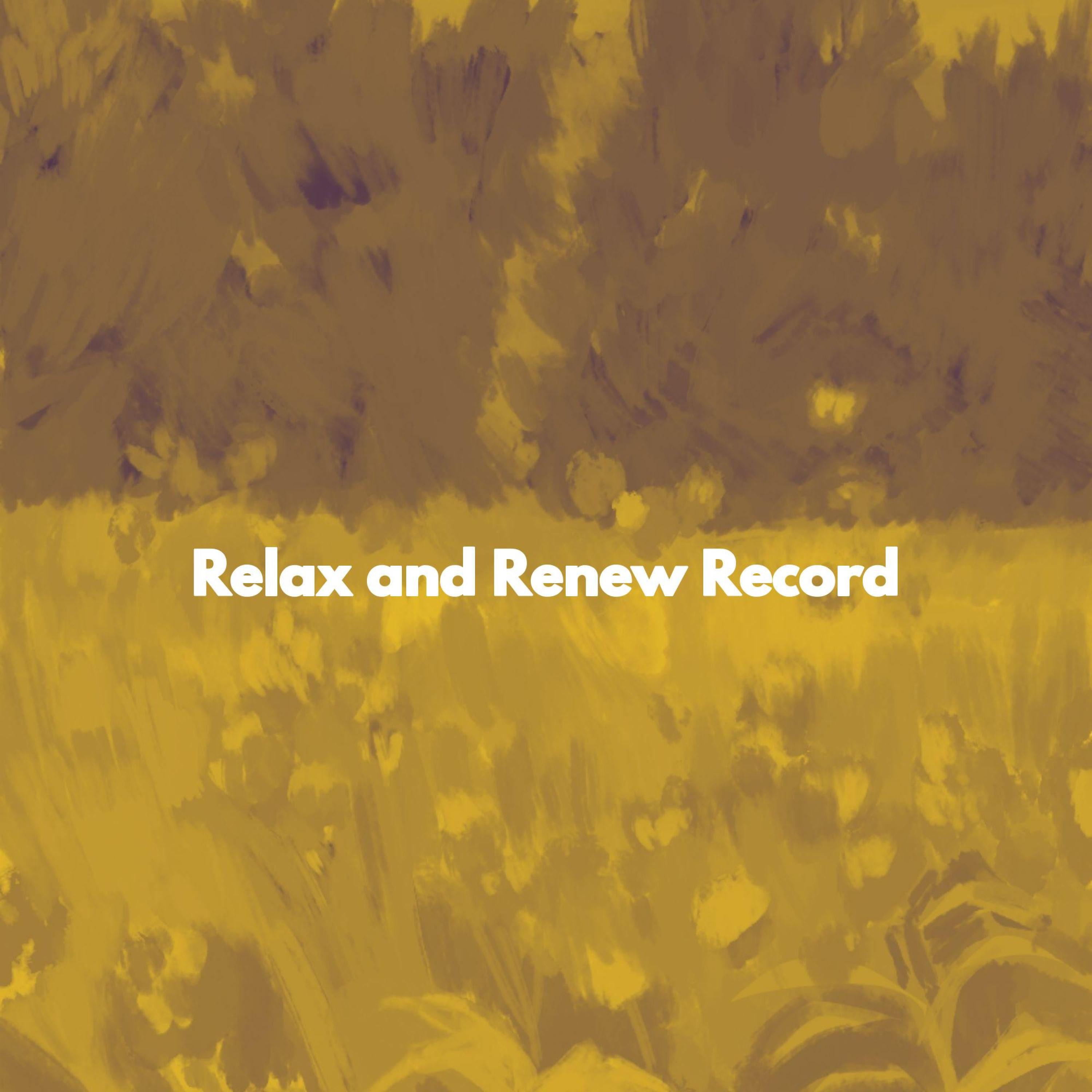 Relax and Renew Record - Instrumental Study Music - 专辑 - 网易云音乐