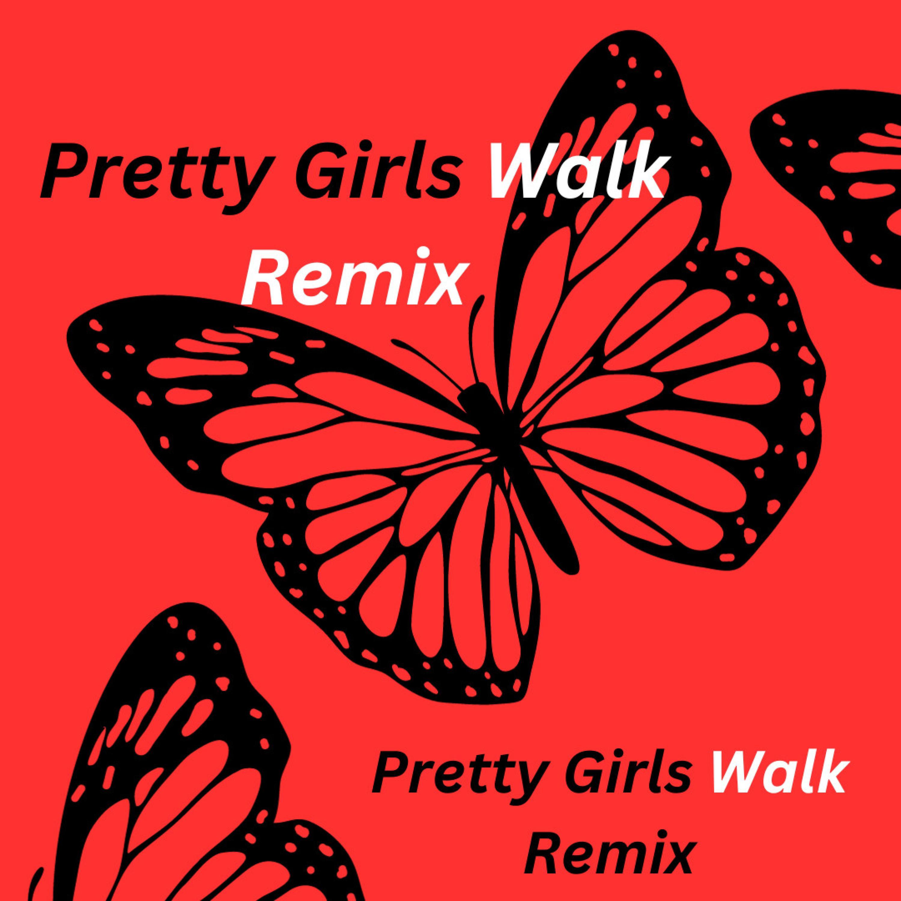 Pretty Girls Walk (Revenge) - Lil HAMU - 单曲 - 网易云音乐