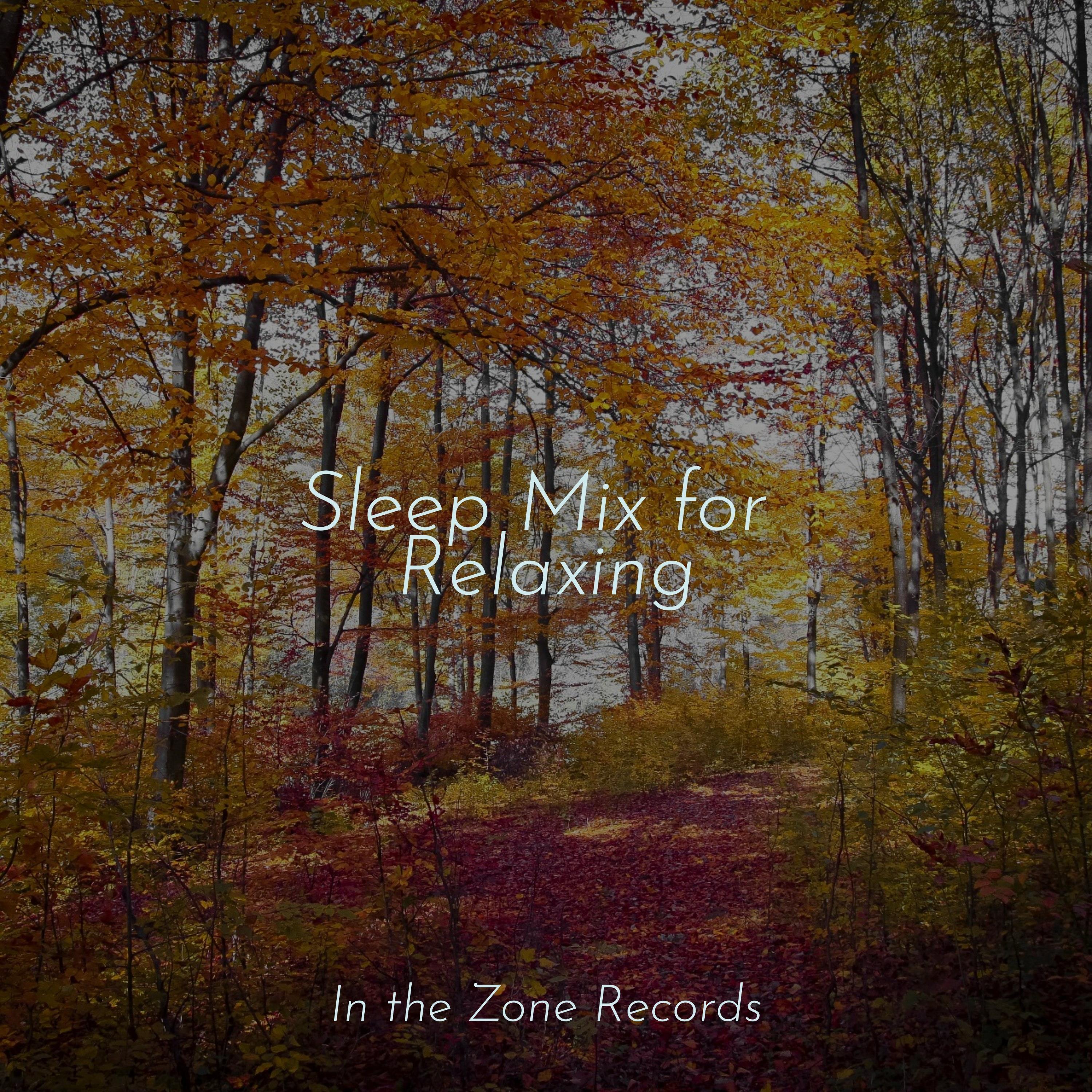 Sleep Mix for Relaxing - Lullabies for Deep Meditation - 专辑 - 网易云音乐