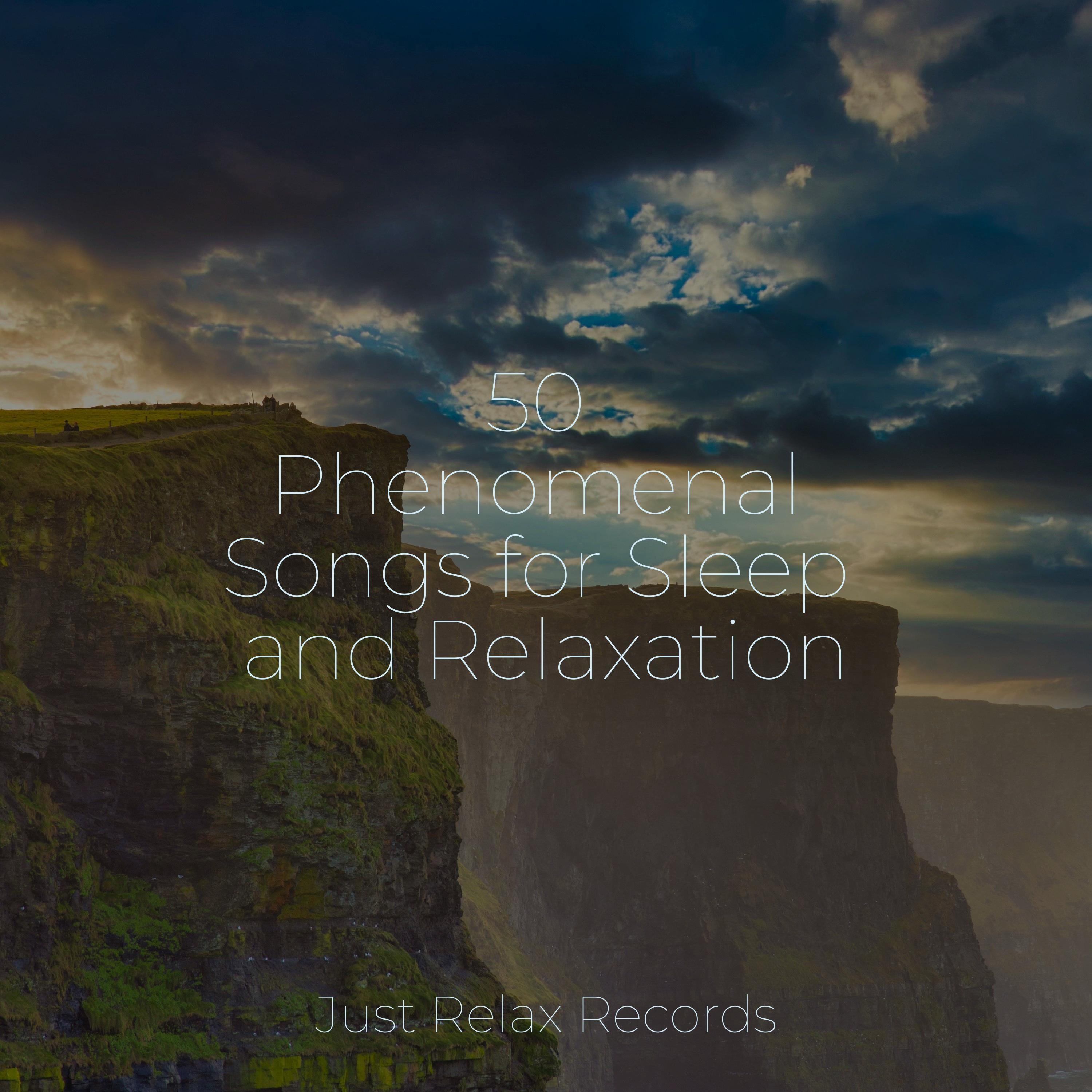 50 Phenomenal Songs for Sleep and Relaxation - Nature Sounds Nature ...