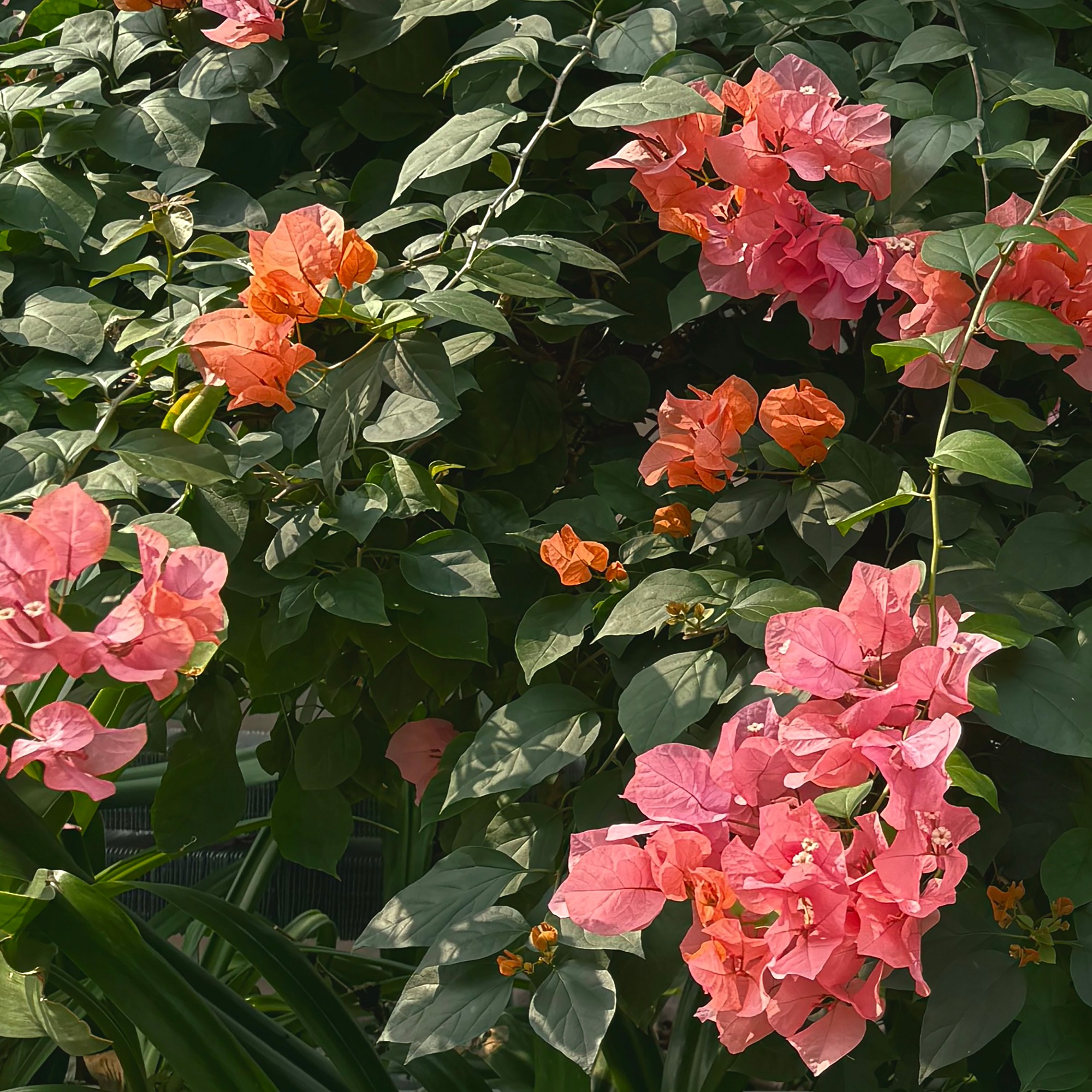 oftn - I Want You Too (feat. Sonny Zero) - 汉儿最爱的R&B时间 - 电台节目 - 网易云音乐