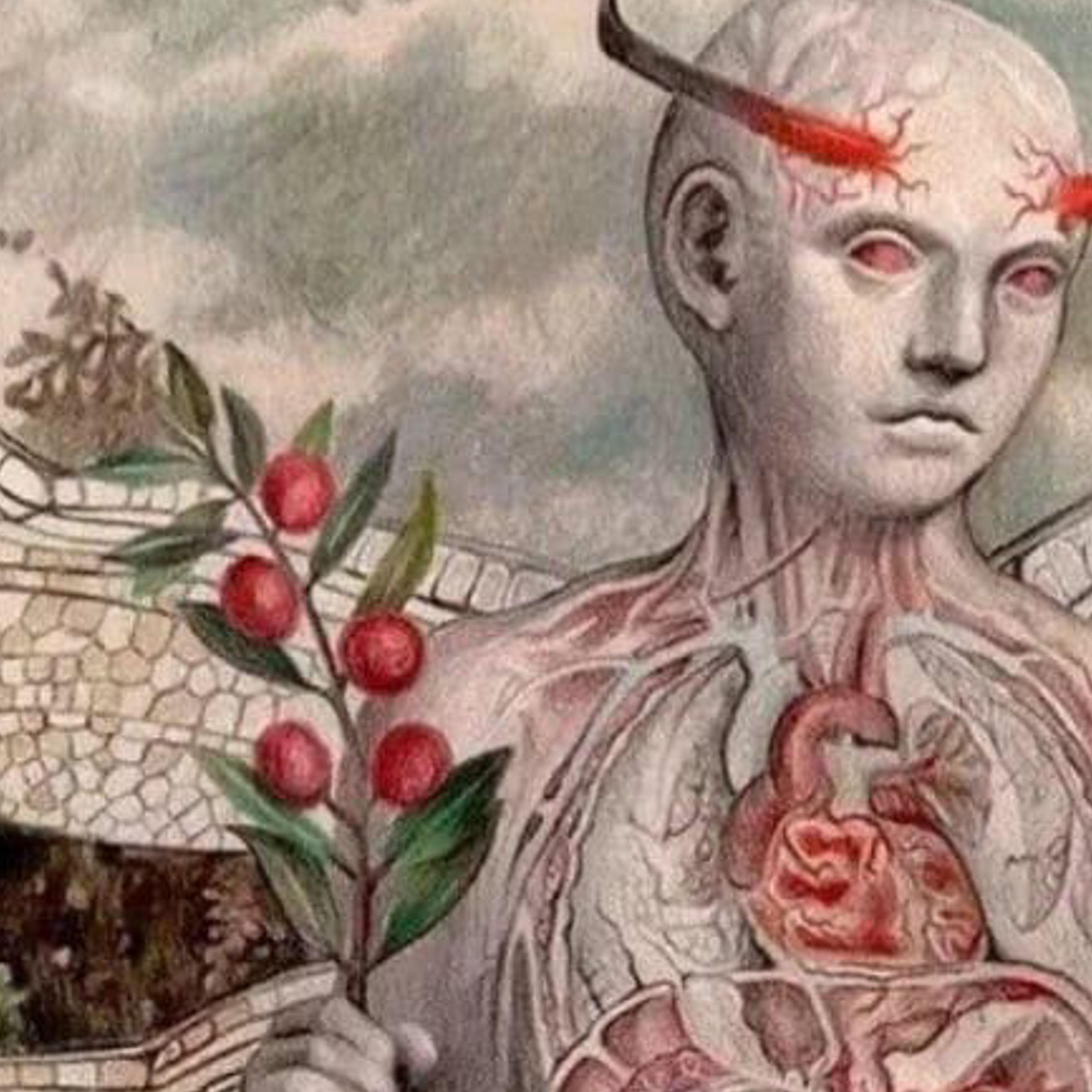 Agua y bolillo - le vel/Demius - 单曲 - 网易云音乐