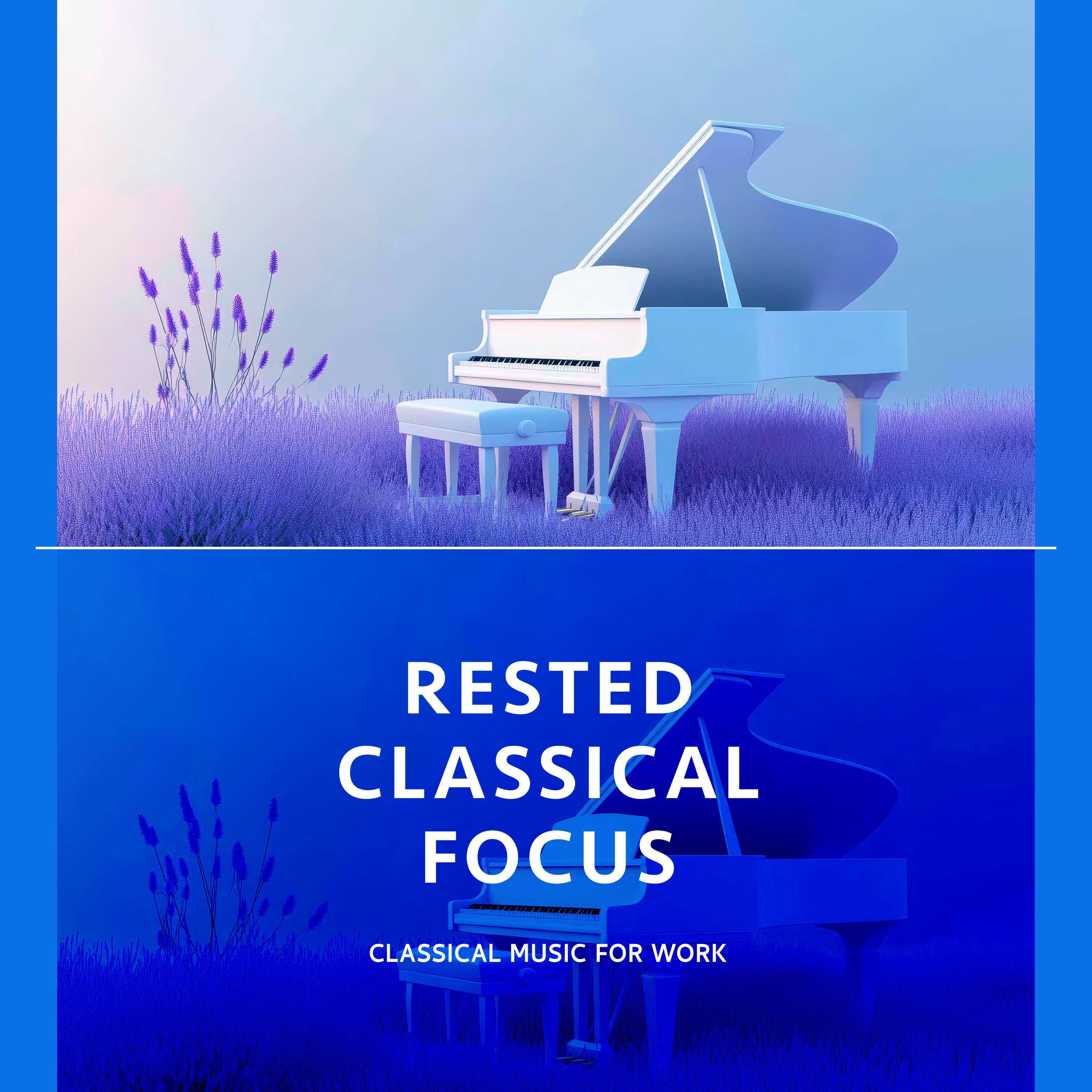 Cozy Fiesta - Classical Music For Work - 单曲 - 网易云音乐