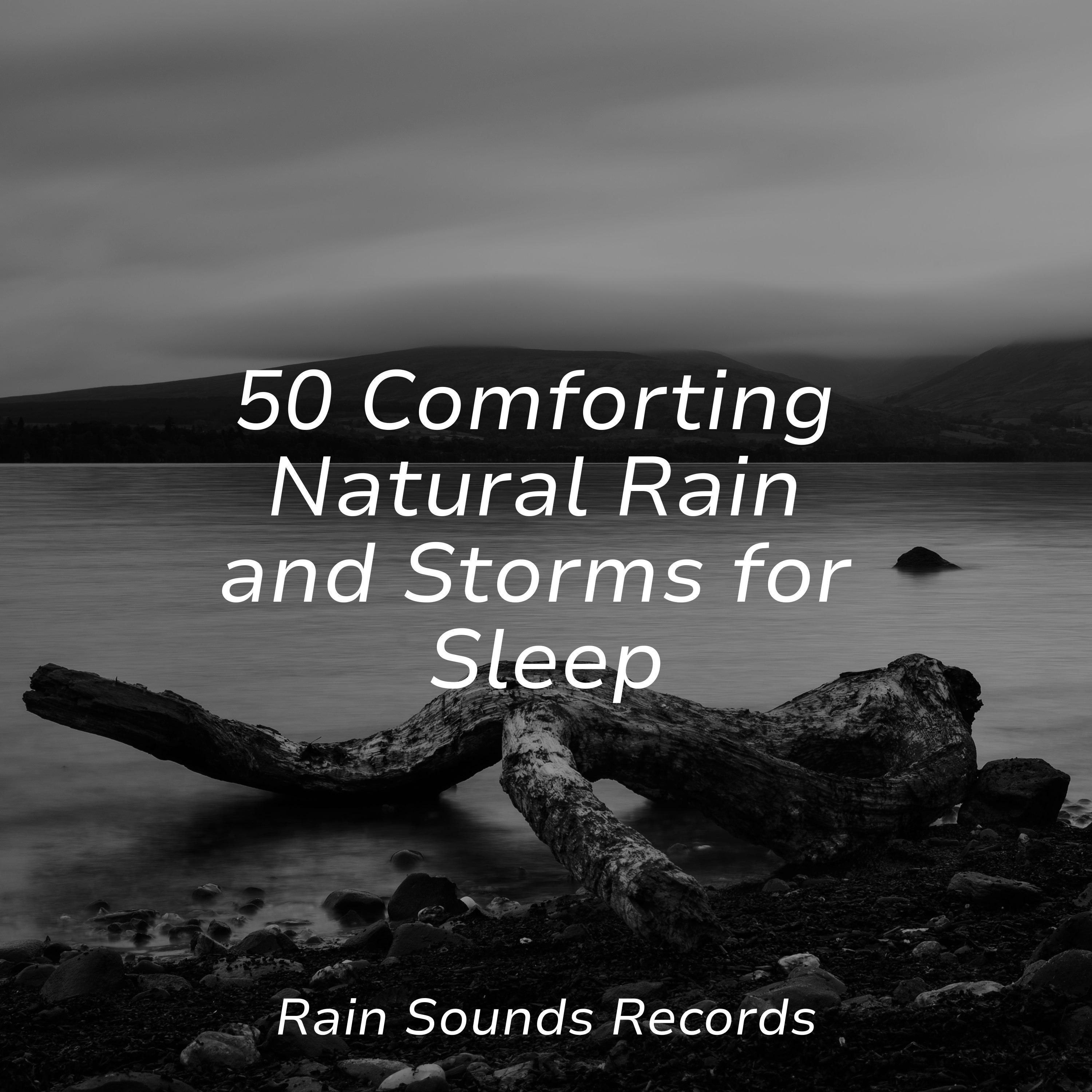 50 Comforting Natural Rain and Storms for Sleep - Musica para Dormir ...