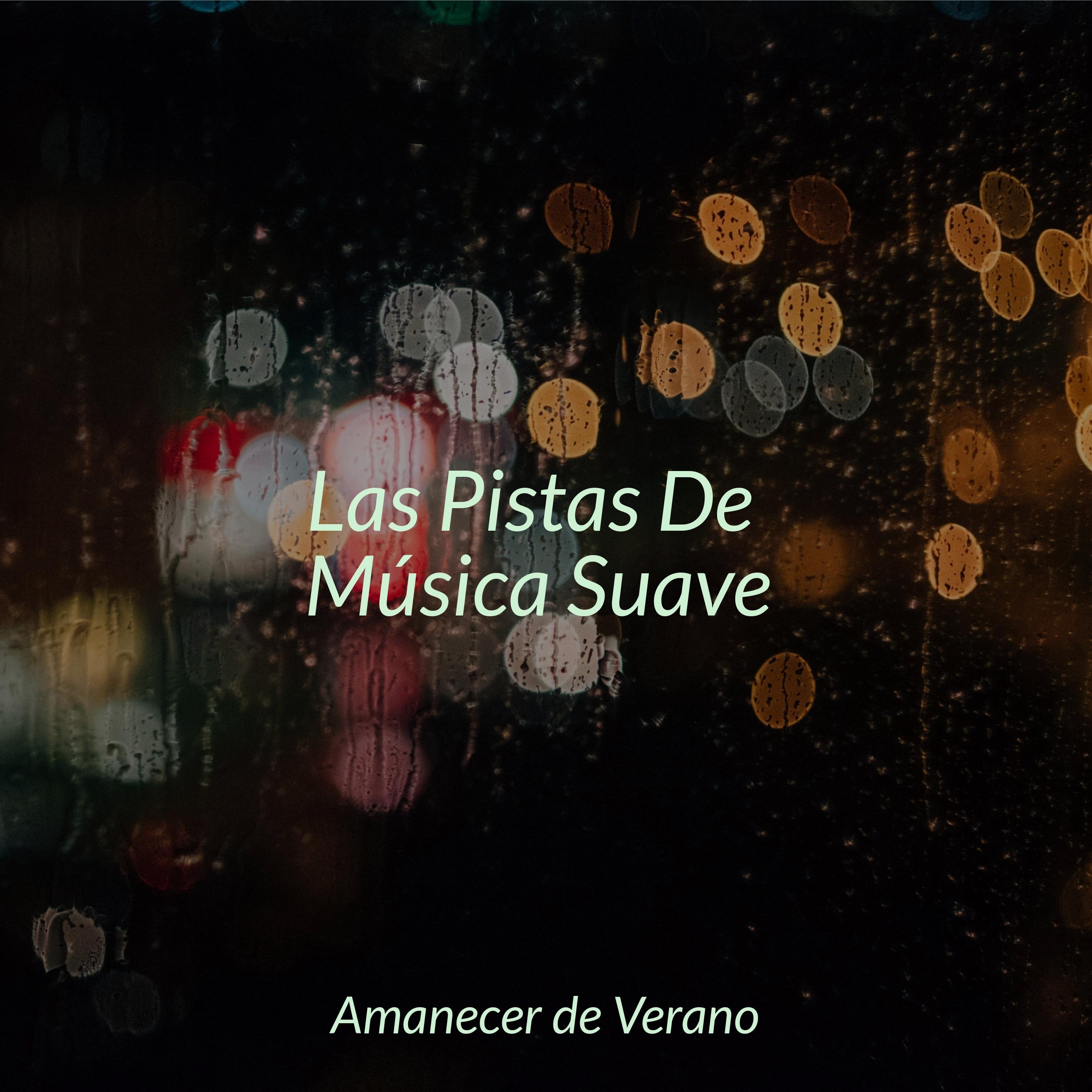 Las Pistas De Música Suave - Relajación - 专辑 - 网易云音乐