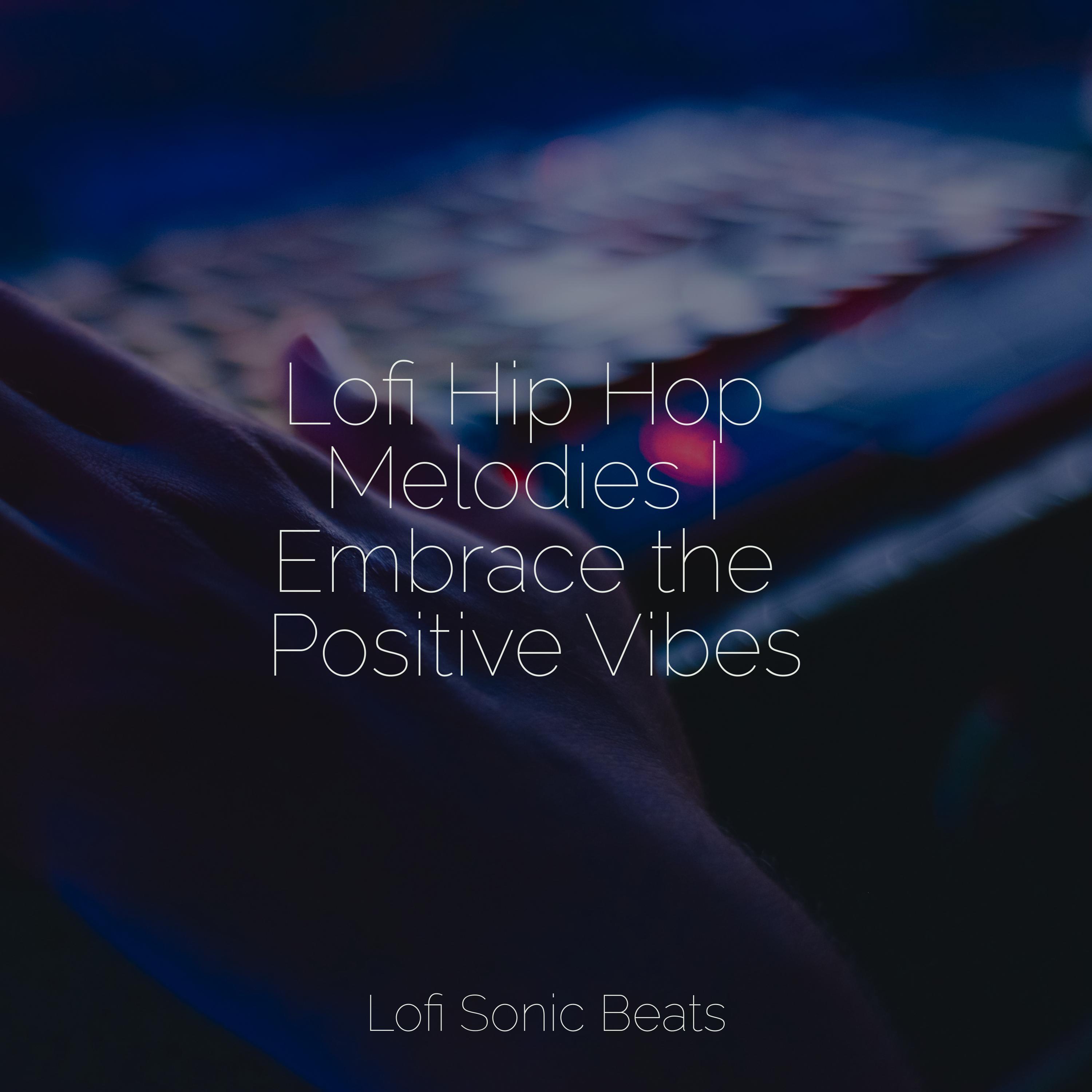 Lofi Hip Hop Melodies | Embrace the Positive Vibes - Study Zone - 专辑 ...