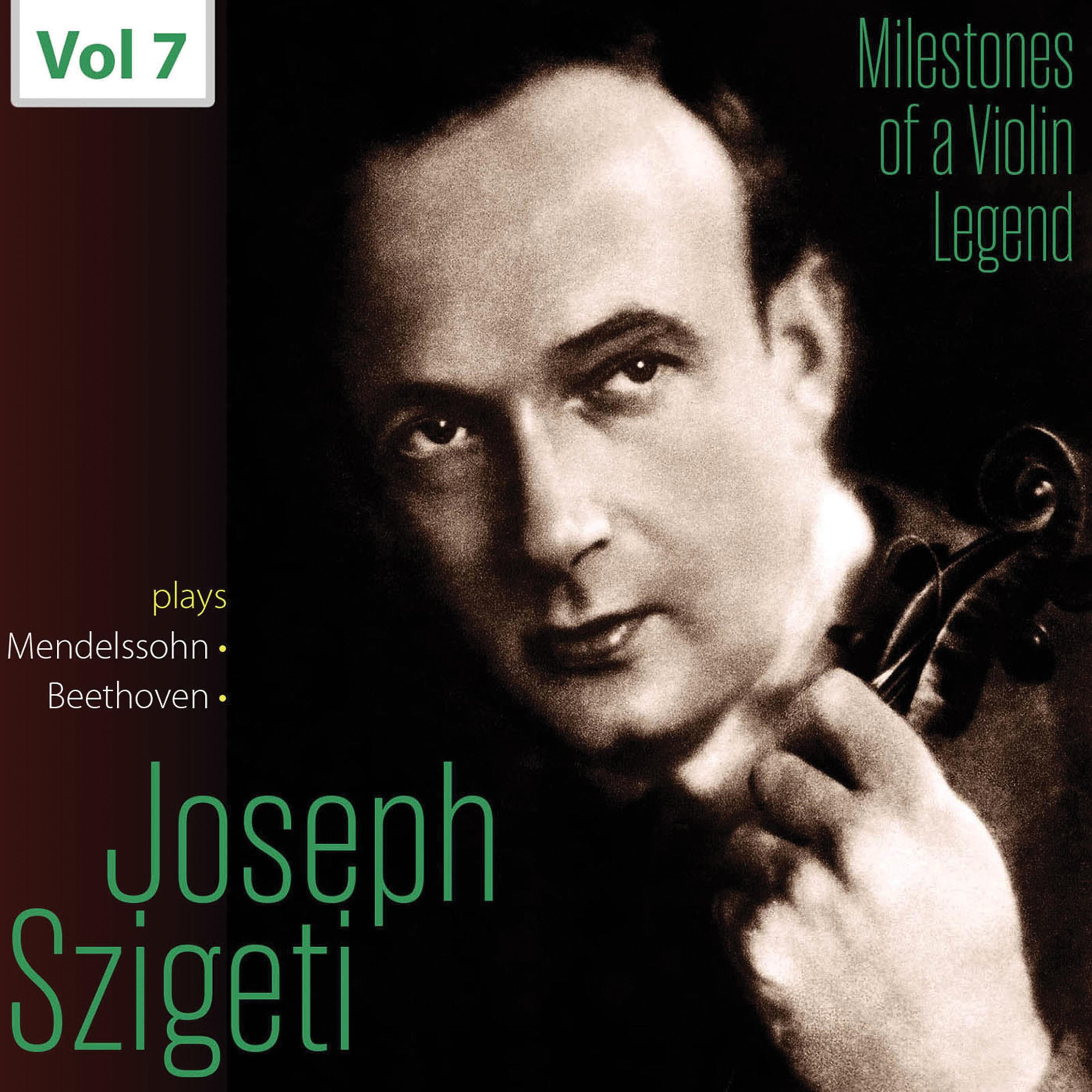 Violin Sonata No. 7 in C Minor Op. 30, 2: Op. 30 No. 2: I. Allegro con ...