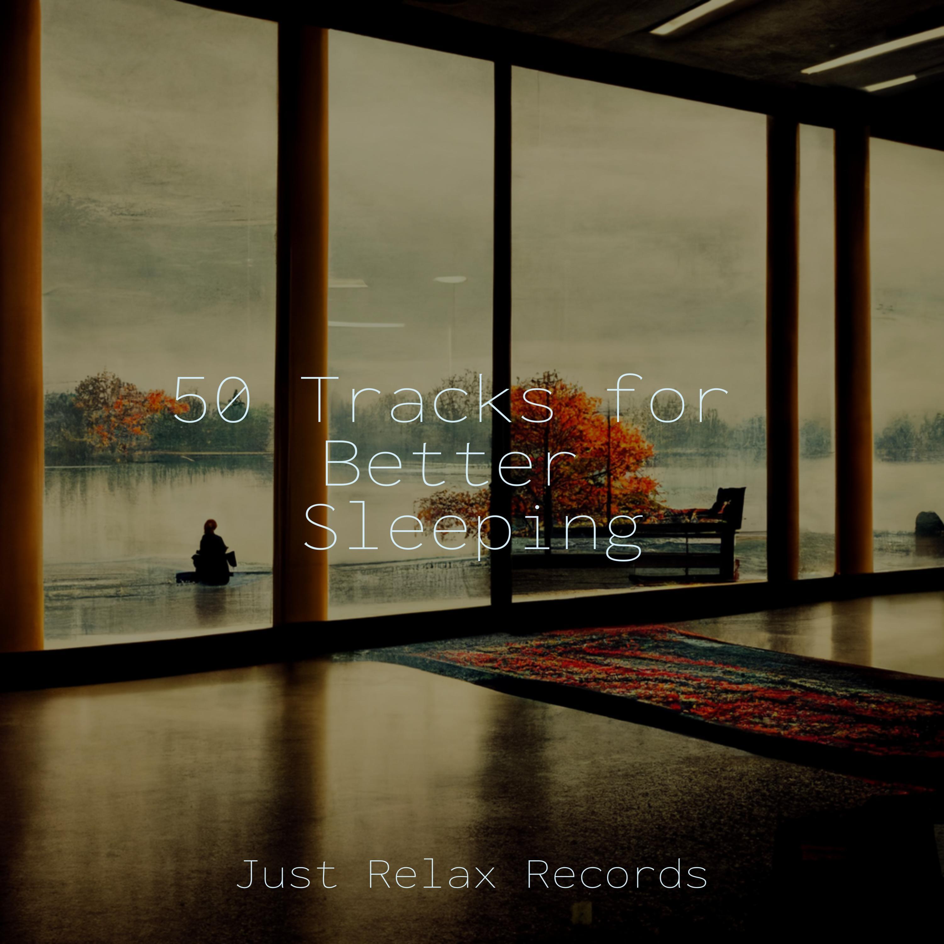 Dusky Chimes of Winter - Musica para Dormir Dream House/Guided ...