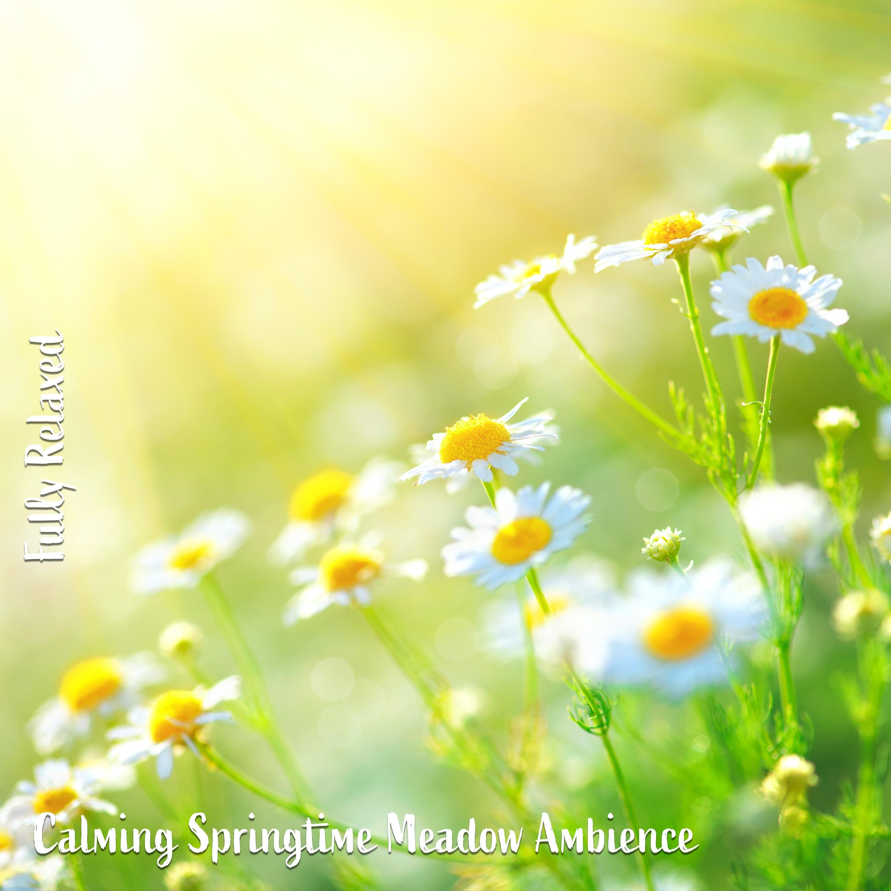 Calming Springtime Meadow Ambience, Pt. 10 - Steve Brassel - 单曲 - 网易云音乐