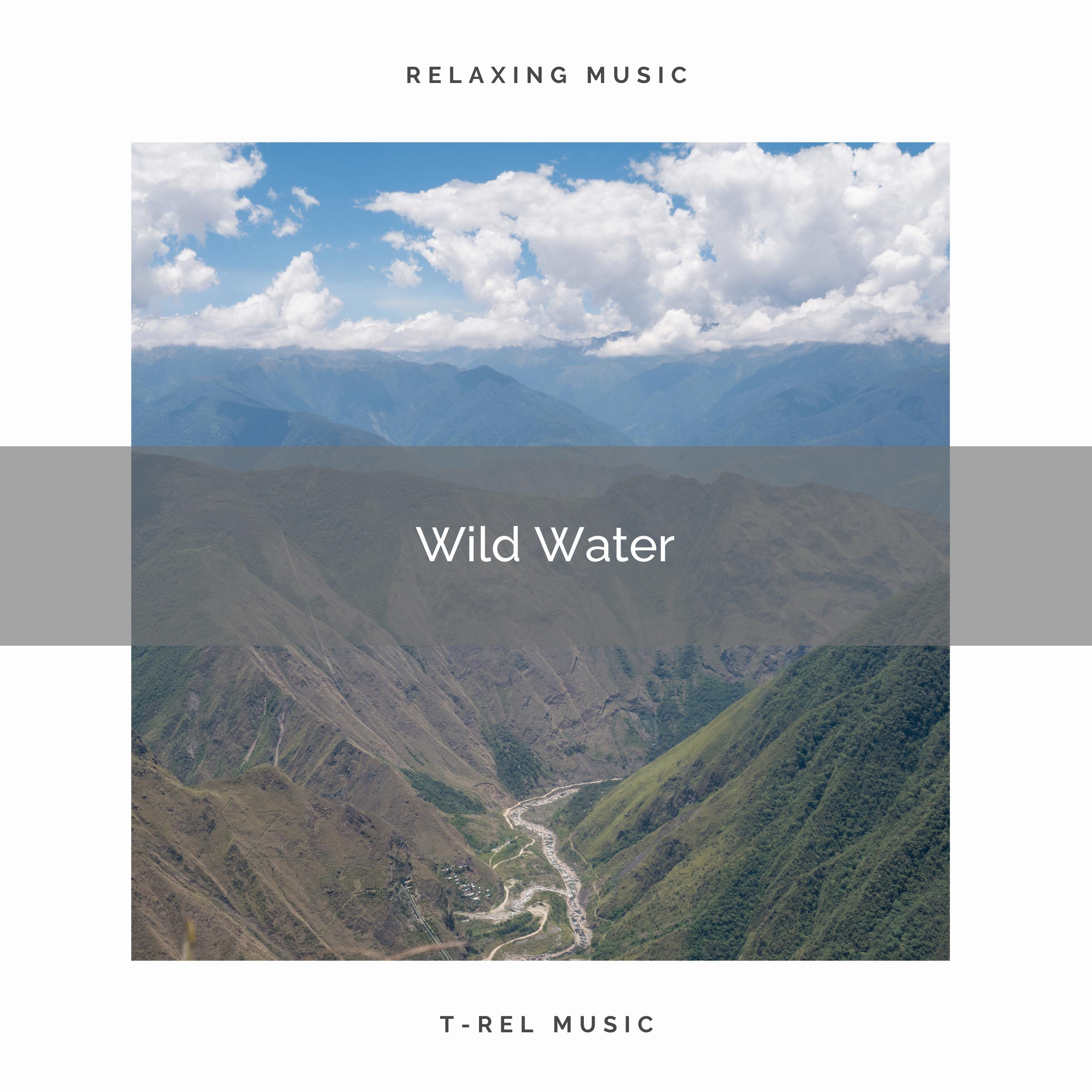 Flowing Stream Tunes for Deep Relax - Fresh Water Sounds - 单曲 - 网易云音乐