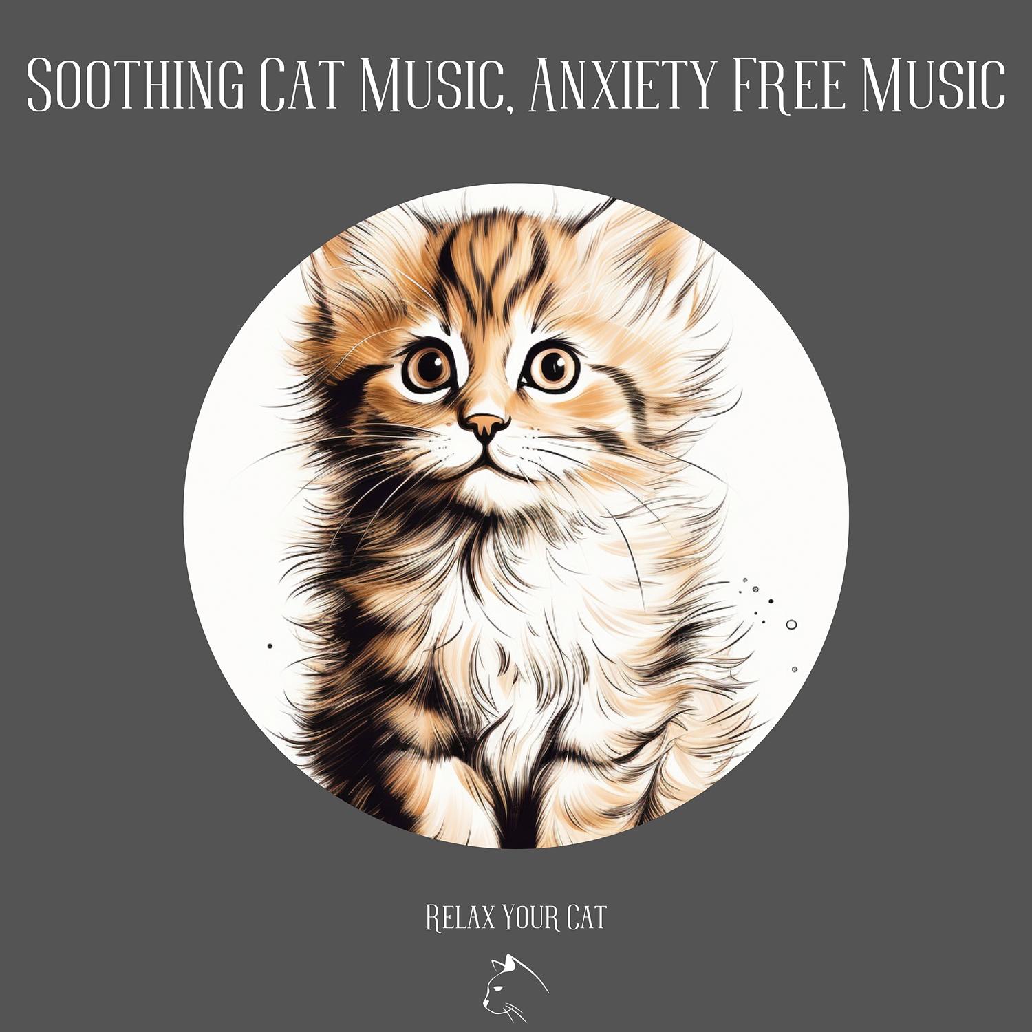 Soothing Cat Music, Anxiety Free Music - Relax Your Cat - 专辑 - 网易云音乐