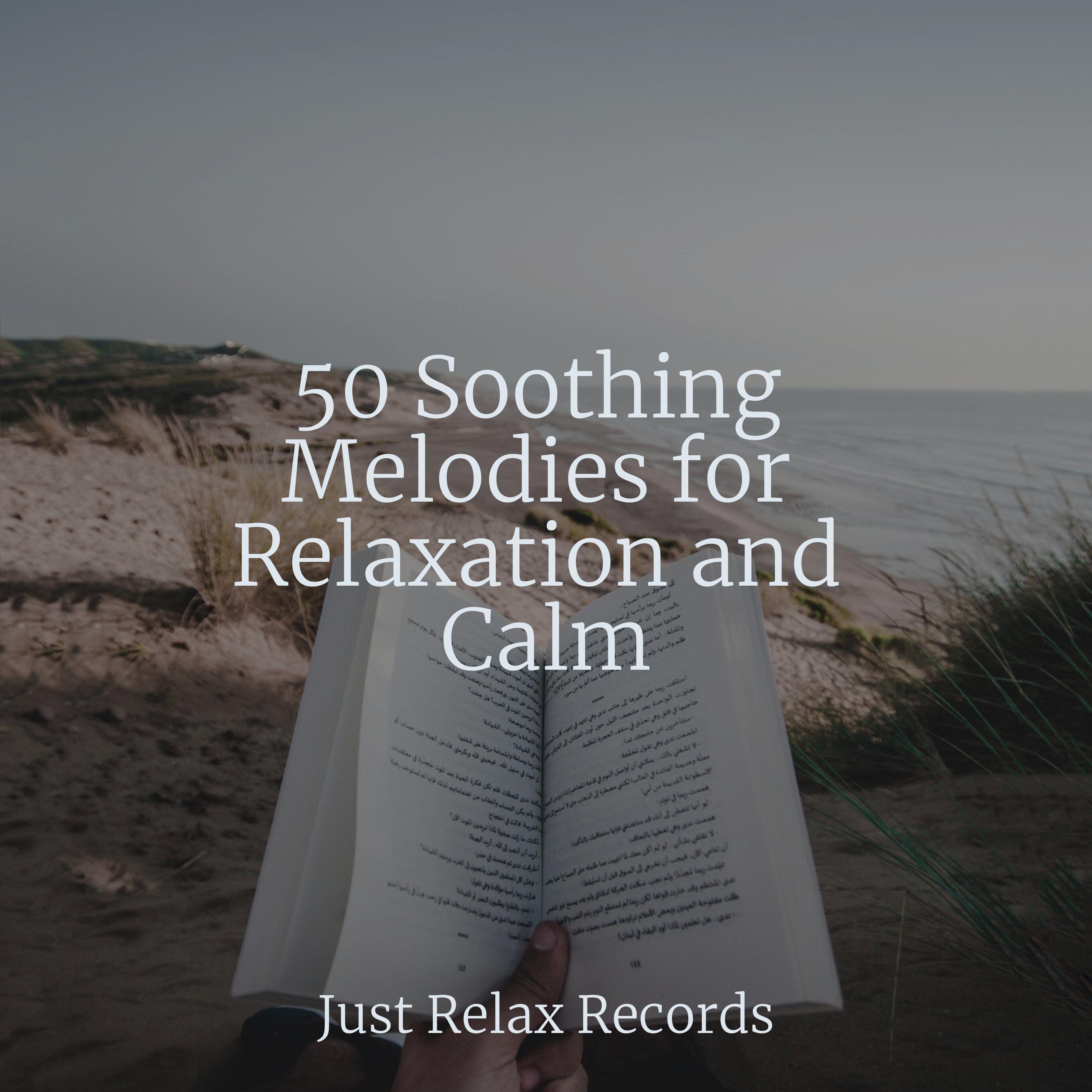 Melancholy Mind Maze - Lullaby Land/Relaxation/Nature Sound Collection ...