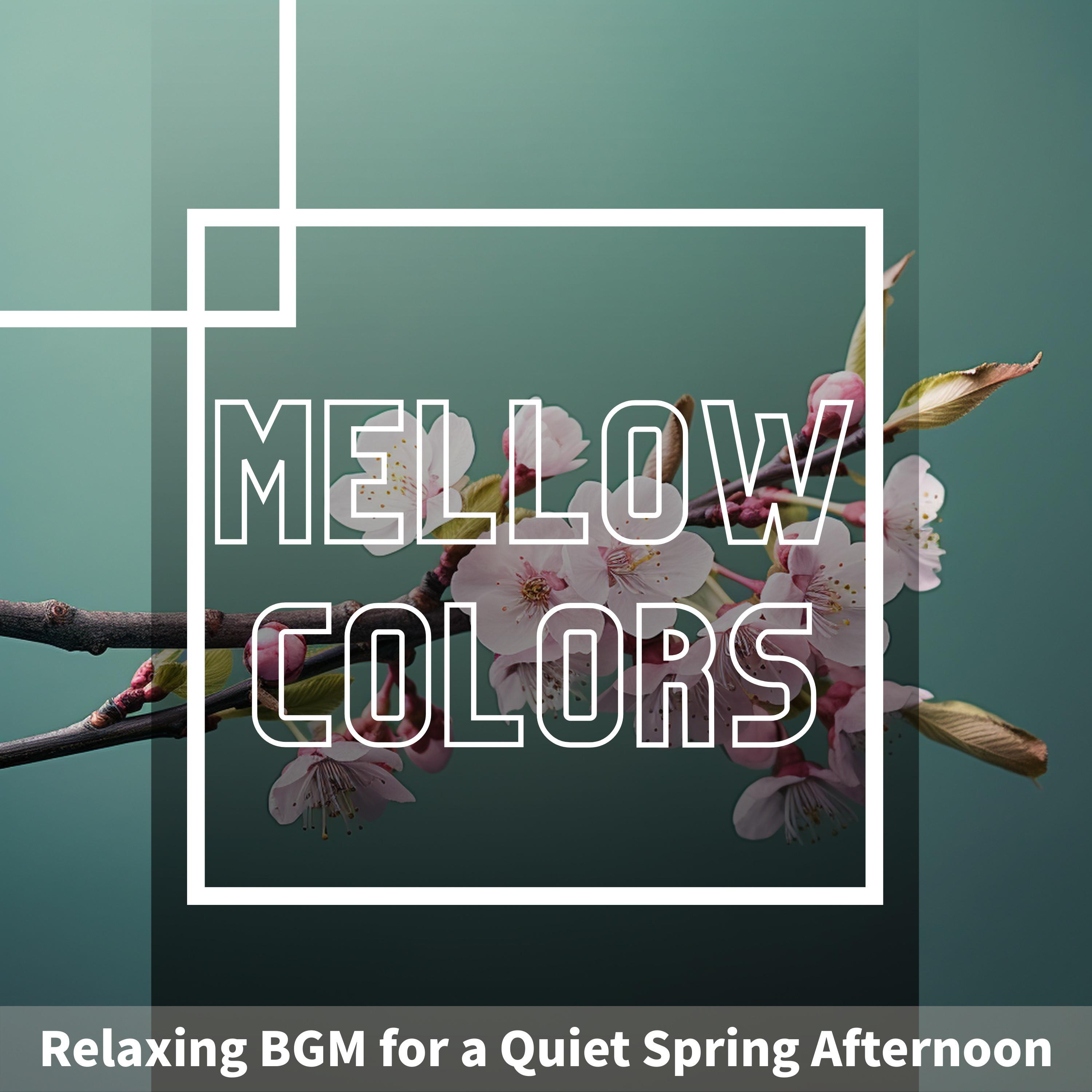 Playful Squirrels Serendipity - Mellow Colors - 单曲 - 网易云音乐