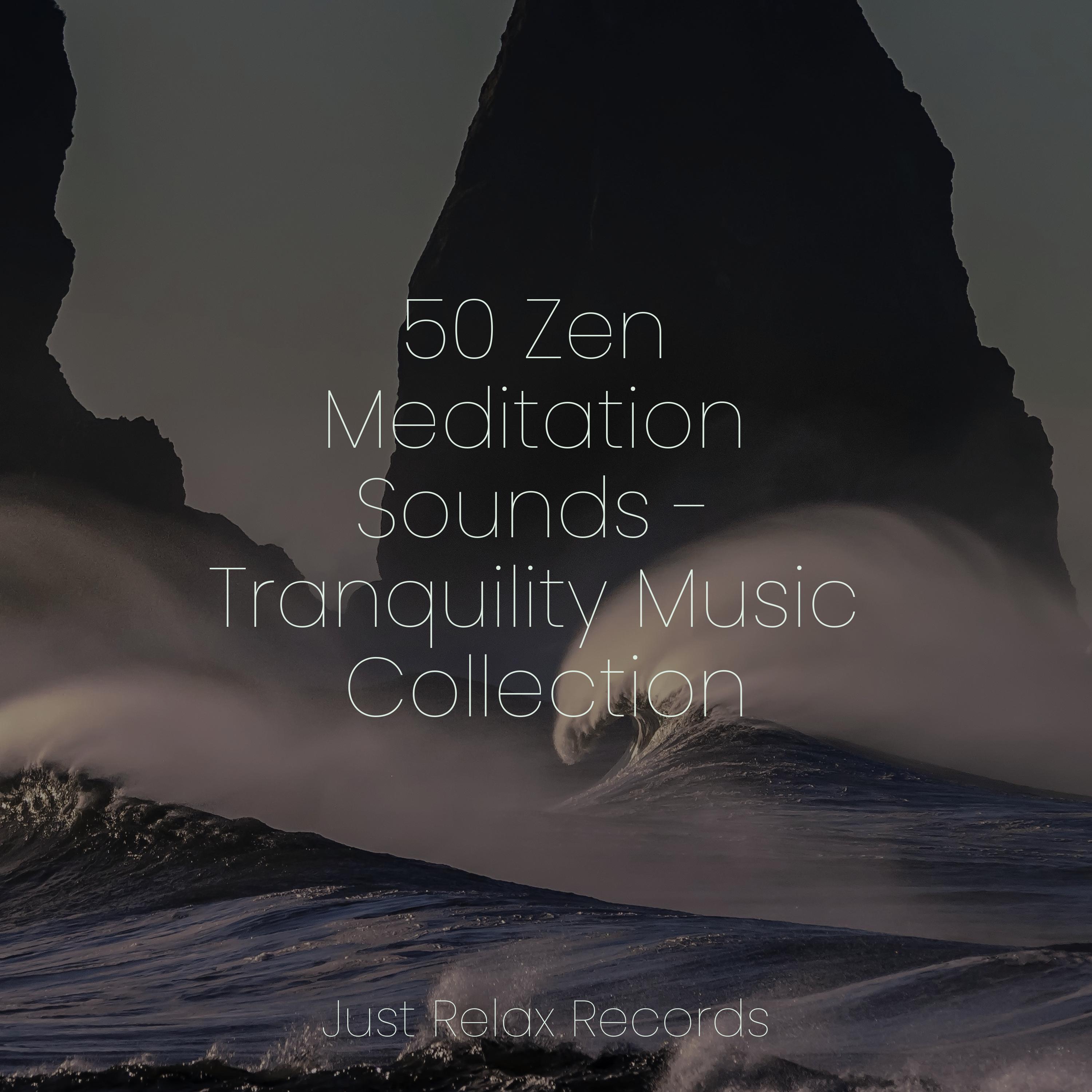 50 Zen Meditation Sounds - Tranquility Music Collection - Música a ...