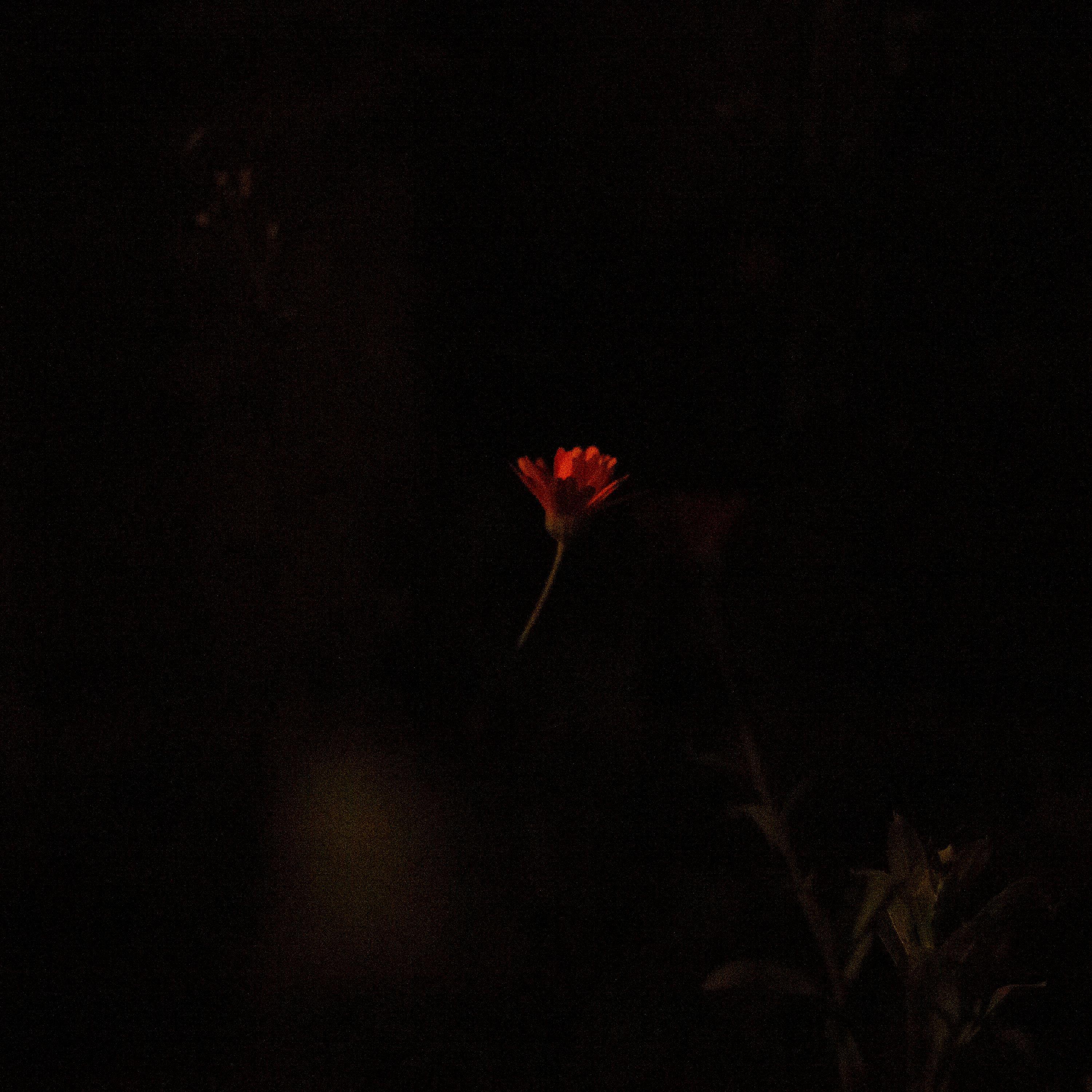 Live at Jazzstate, 04/12/2019 - Albert Karch - 专辑 - 网易云音乐