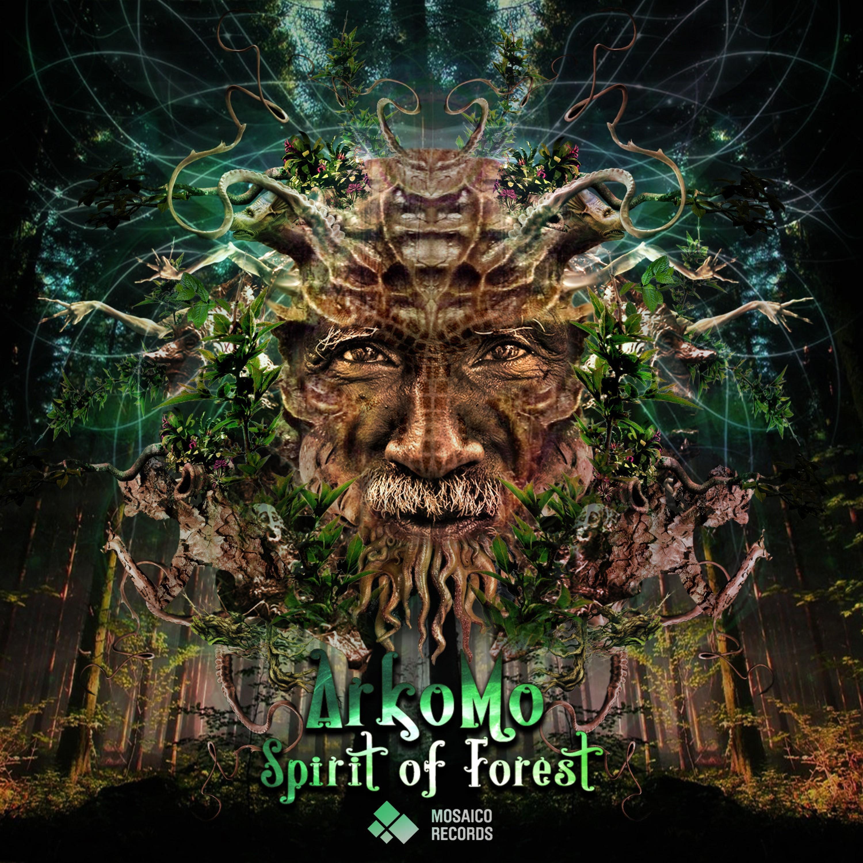 Spirit of Forest - ArkoMo - 专辑 - 网易云音乐