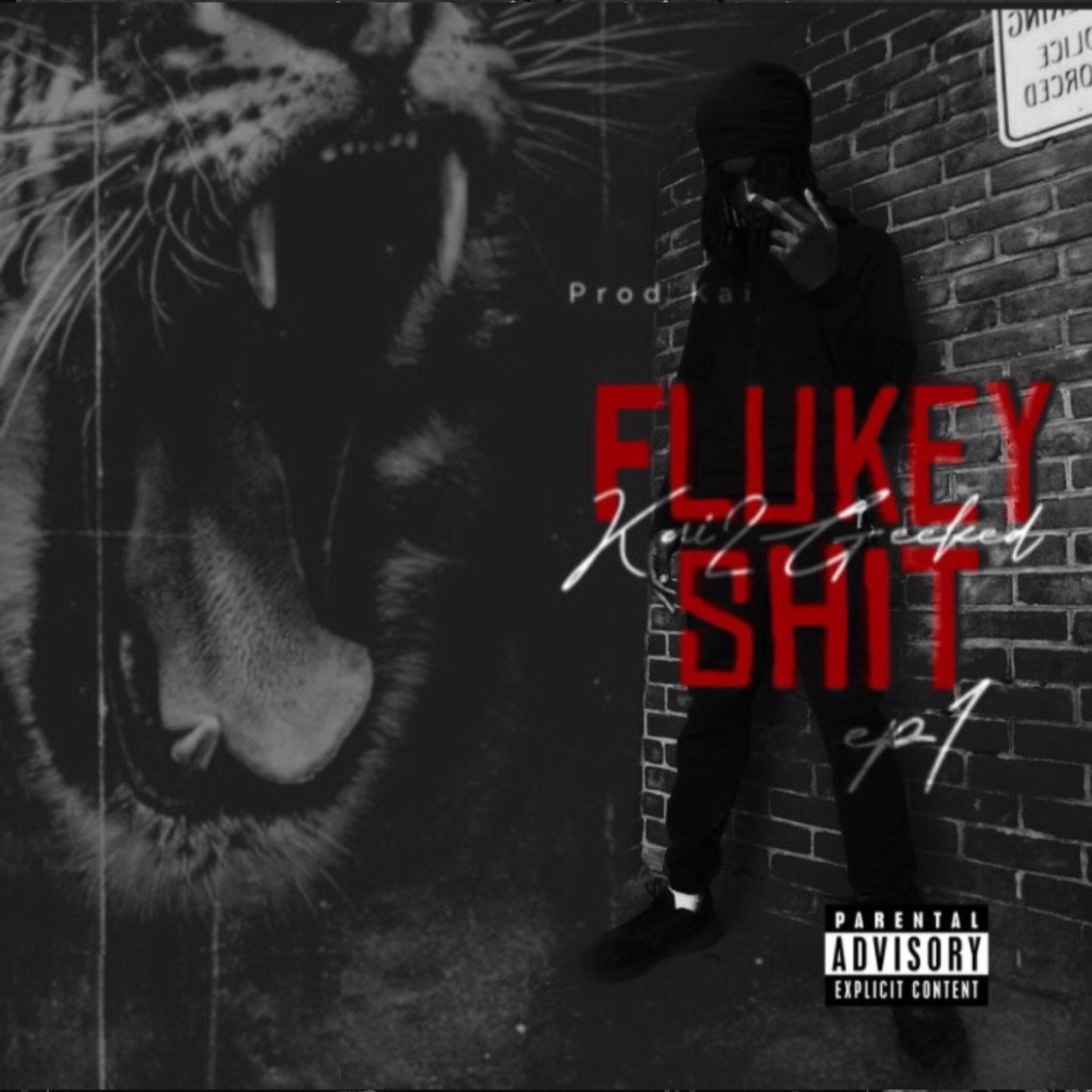 Flukey Shit Freestyle - Kai2Geeked - 专辑 - 网易云音乐