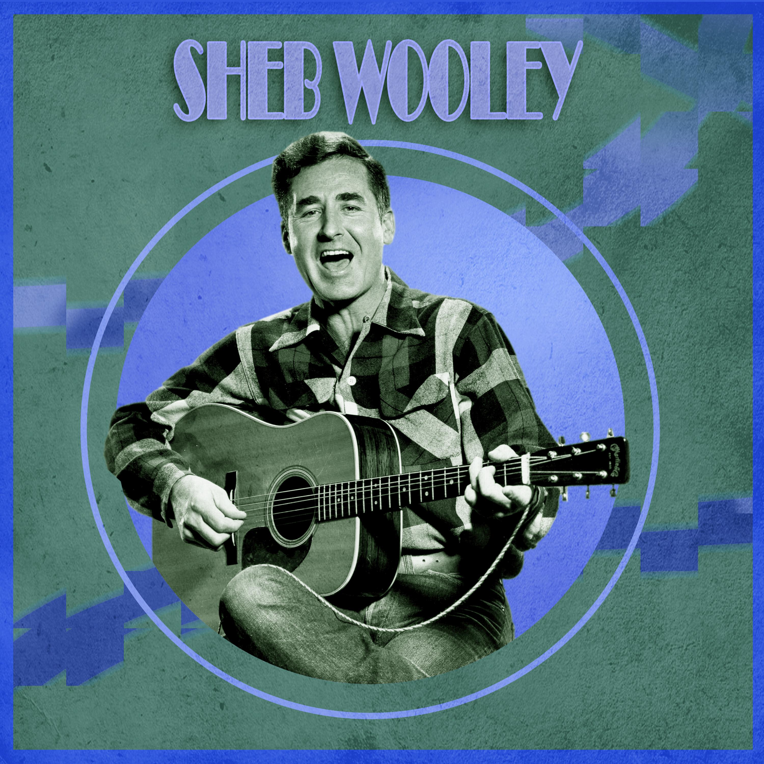 D-I-V-O-R-C-E - Sheb Wooley - 单曲 - 网易云音乐