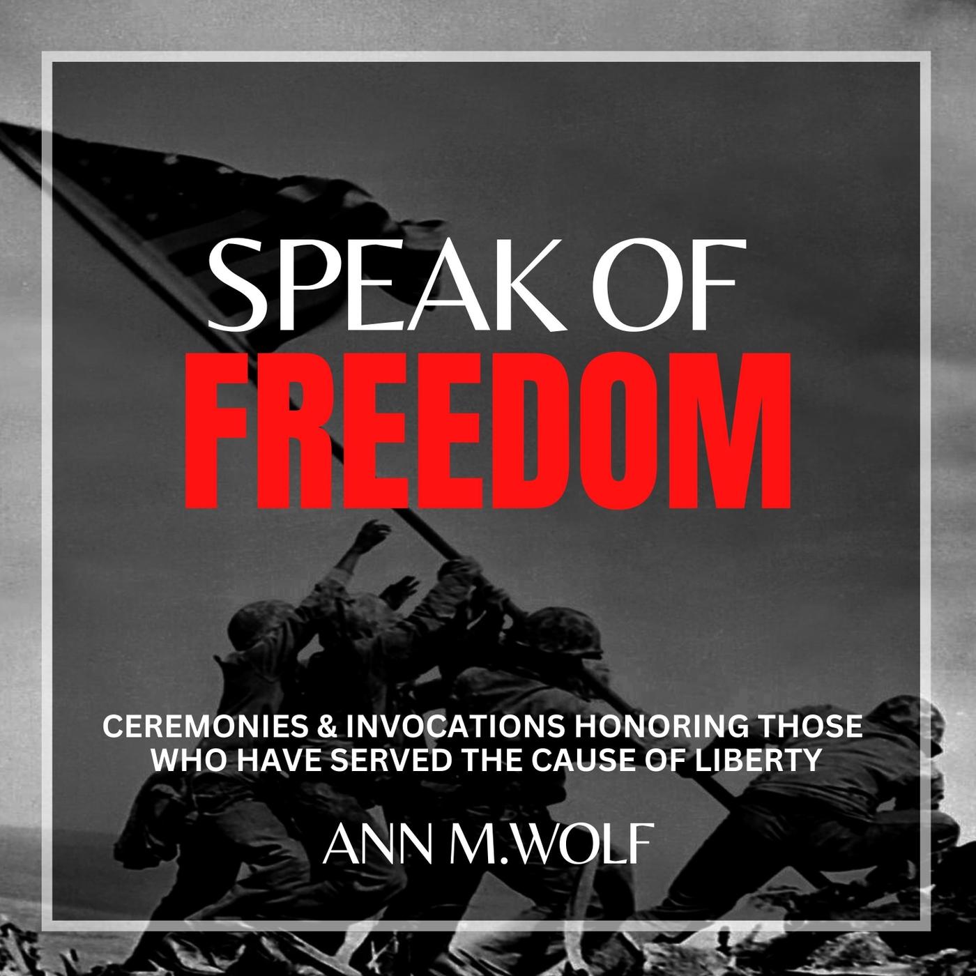 Meaning of the Stars & Stripes - Ann M. Wolf - 单曲 - 网易云音乐