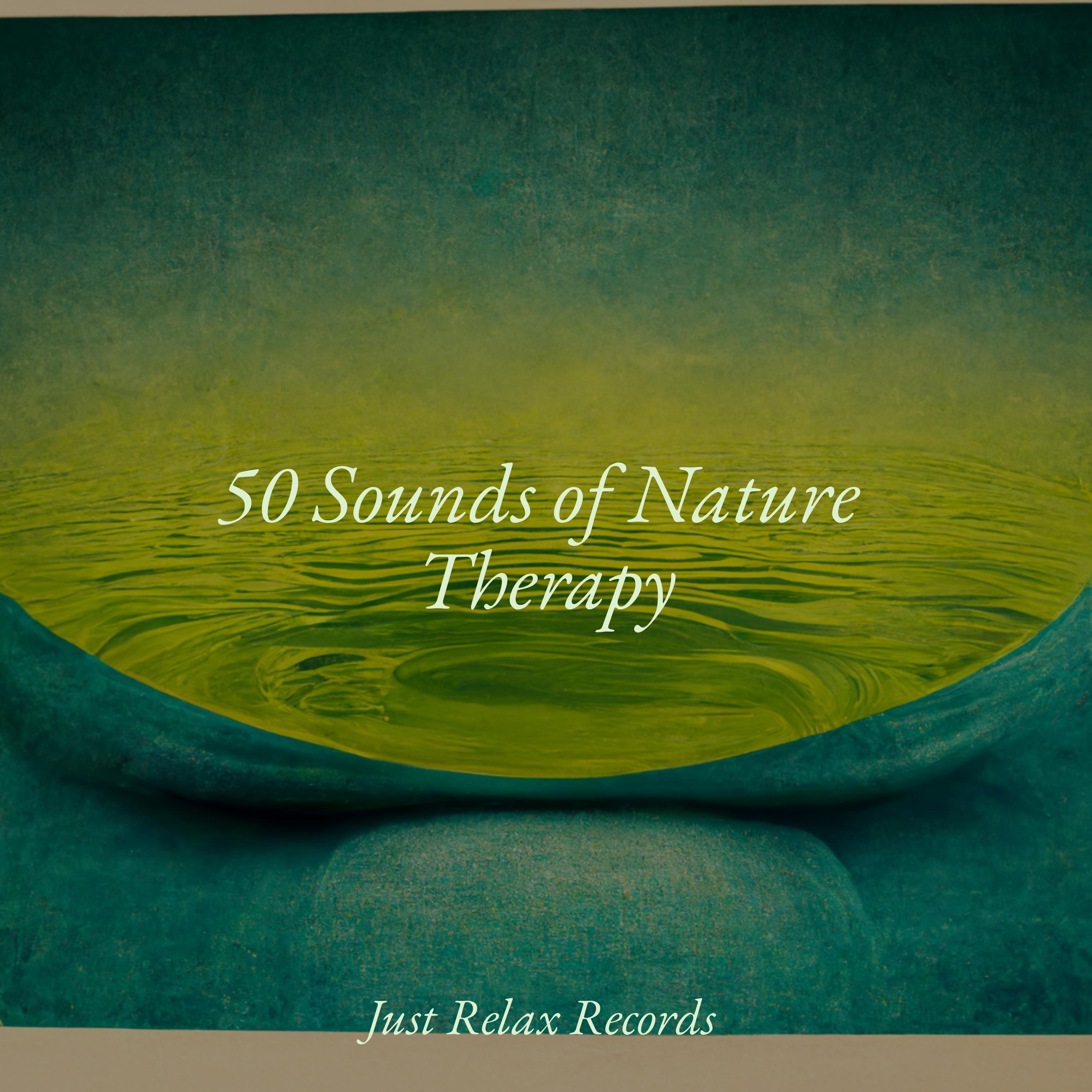 Ripples in the Rain - Lullabyes/Yoga Namaste/Forest Sounds - 单曲 - 网易云音乐