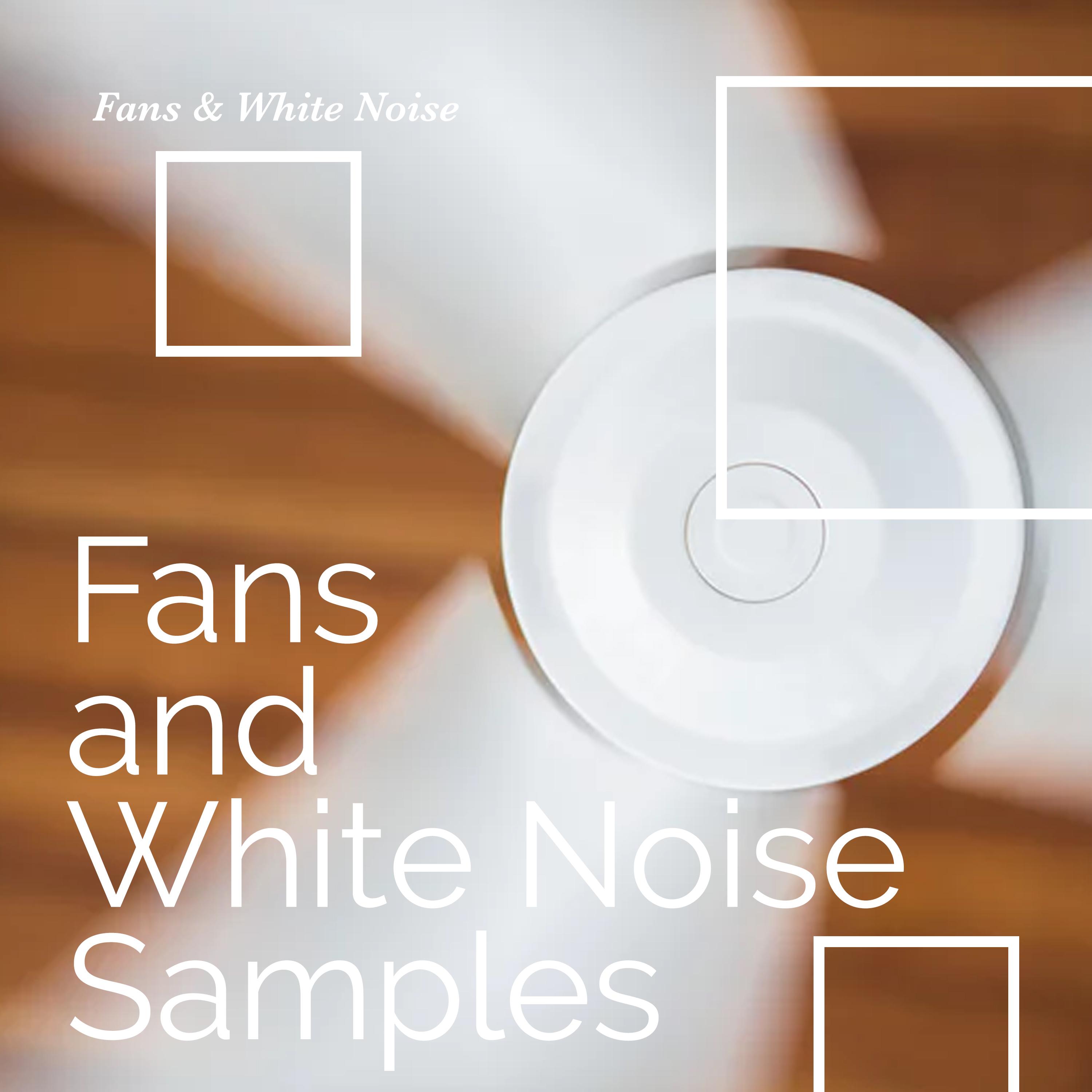 Dramatic - Fans & White Noise - 单曲 - 网易云音乐