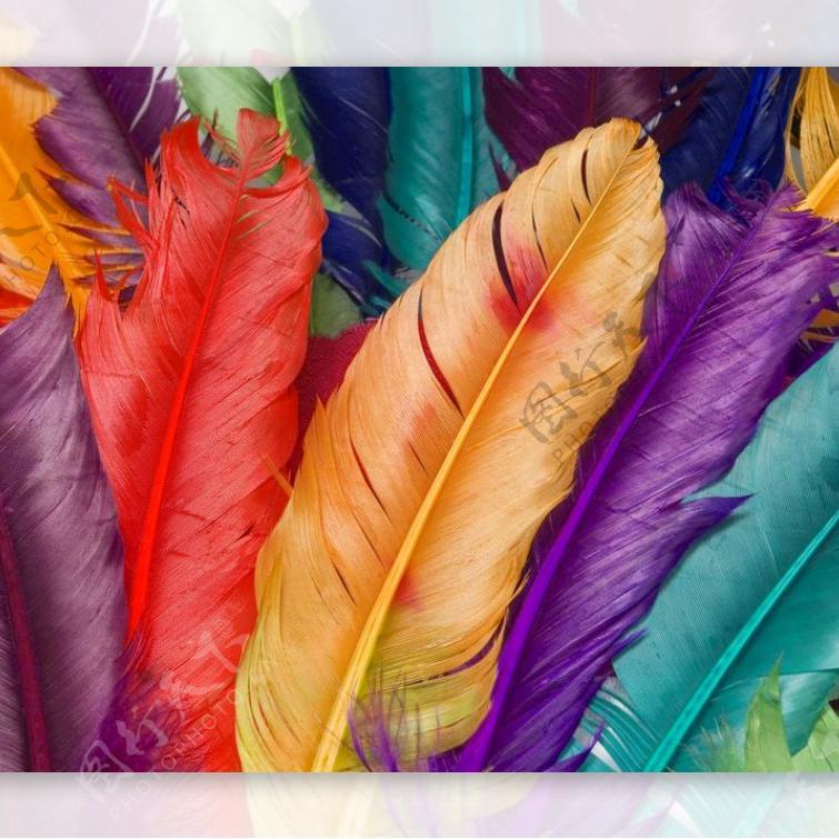 vbhjk - 紫棱 - 单曲 - 网易云音乐