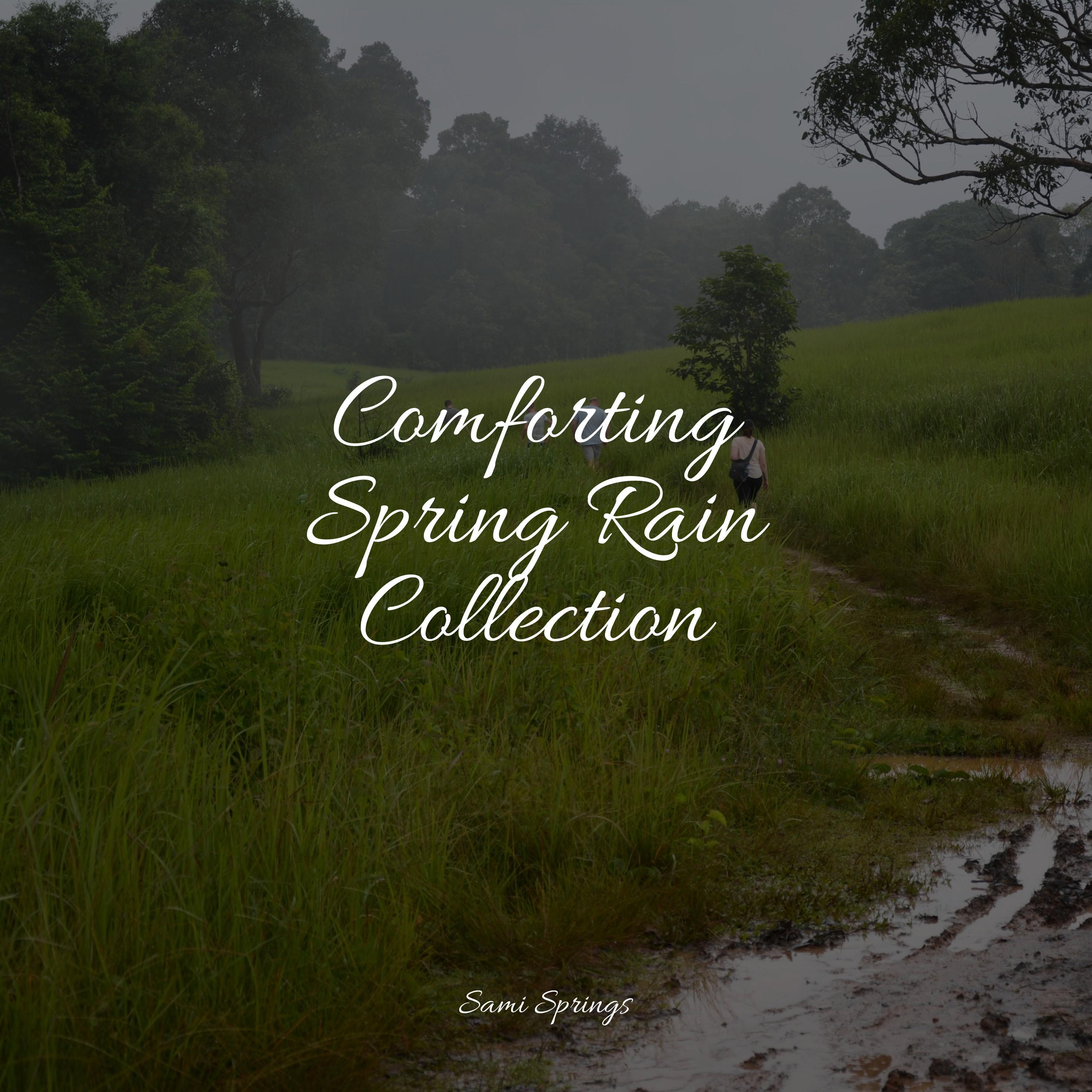 Comforting Spring Rain Collection - Rain Drops for Sleep - 专辑 - 网易云音乐