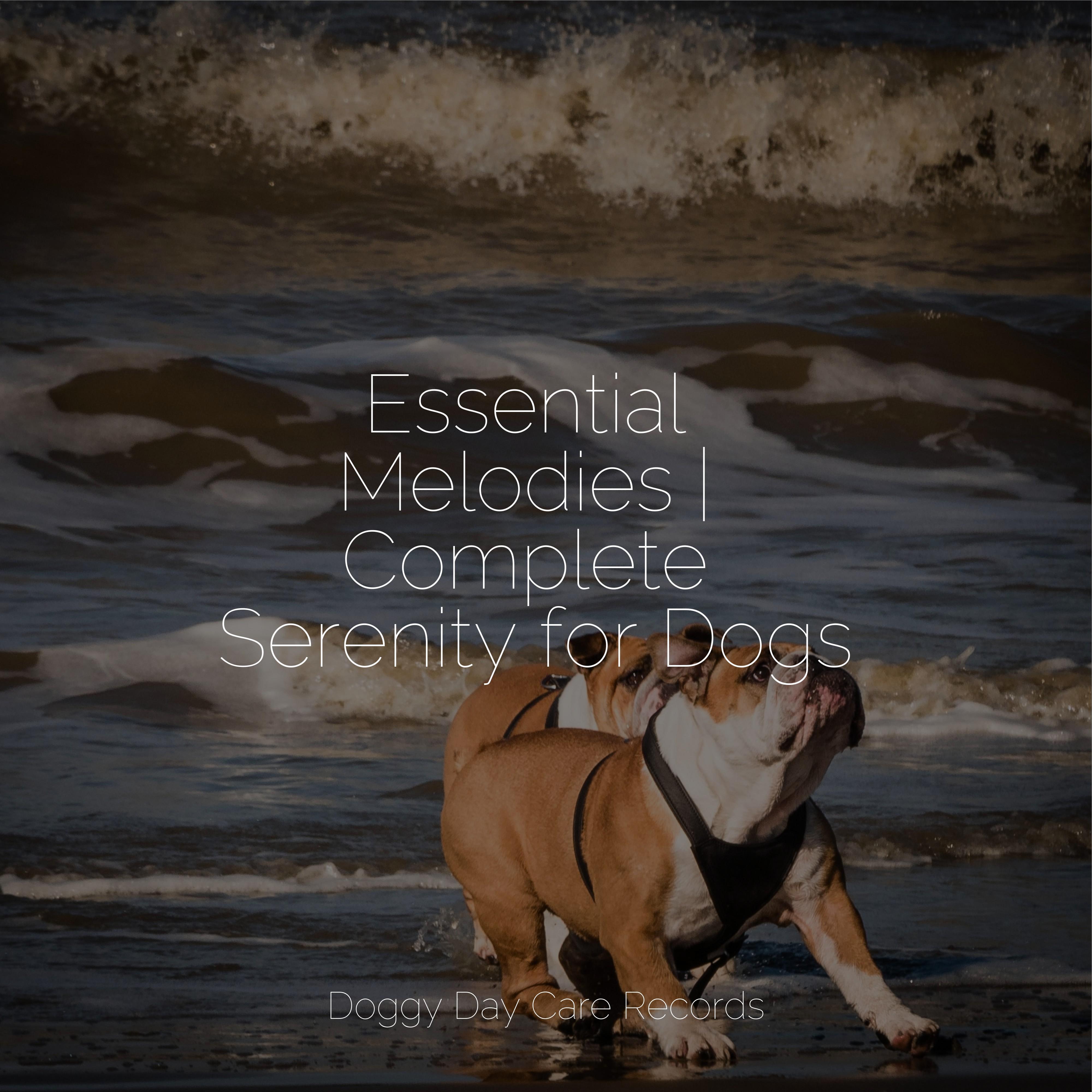 At Ease - Music For Dogs/Sleeping Music For Dogs/Music for Calming Dogs ...