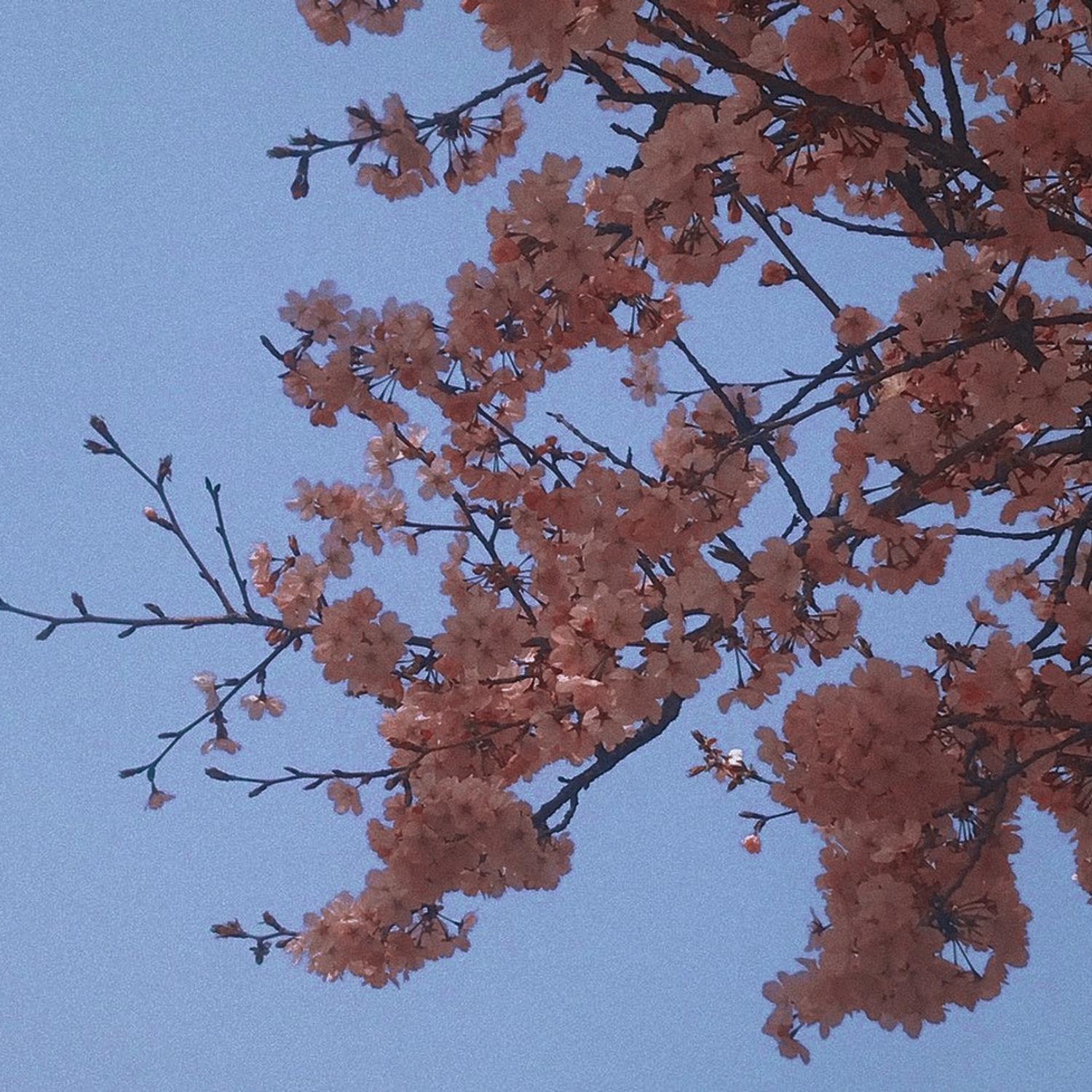 Forever Together Baby - Yusei - 单曲 - 网易云音乐