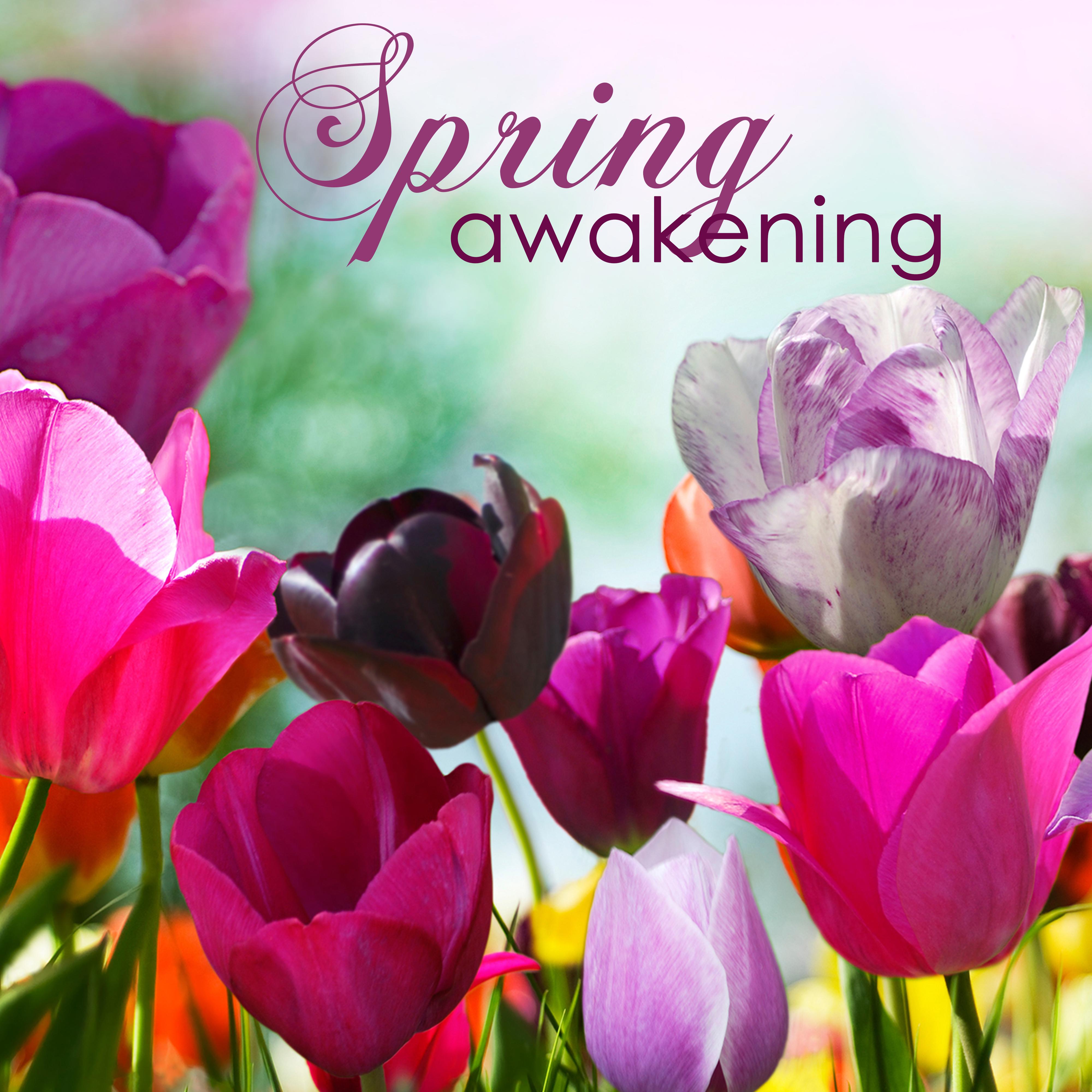 Spring Awakening – Relaxing Healing Music for Winter into Spring ...