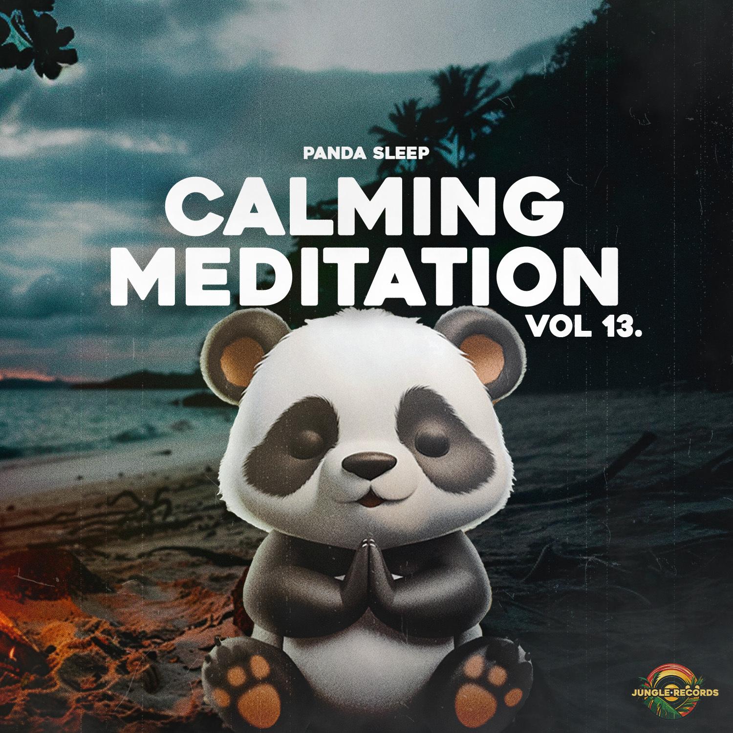 Calm Moonlight, Pt. 4 - Panda Sleep/Panda Chill/Panda Music - 单曲 - 网易云音乐