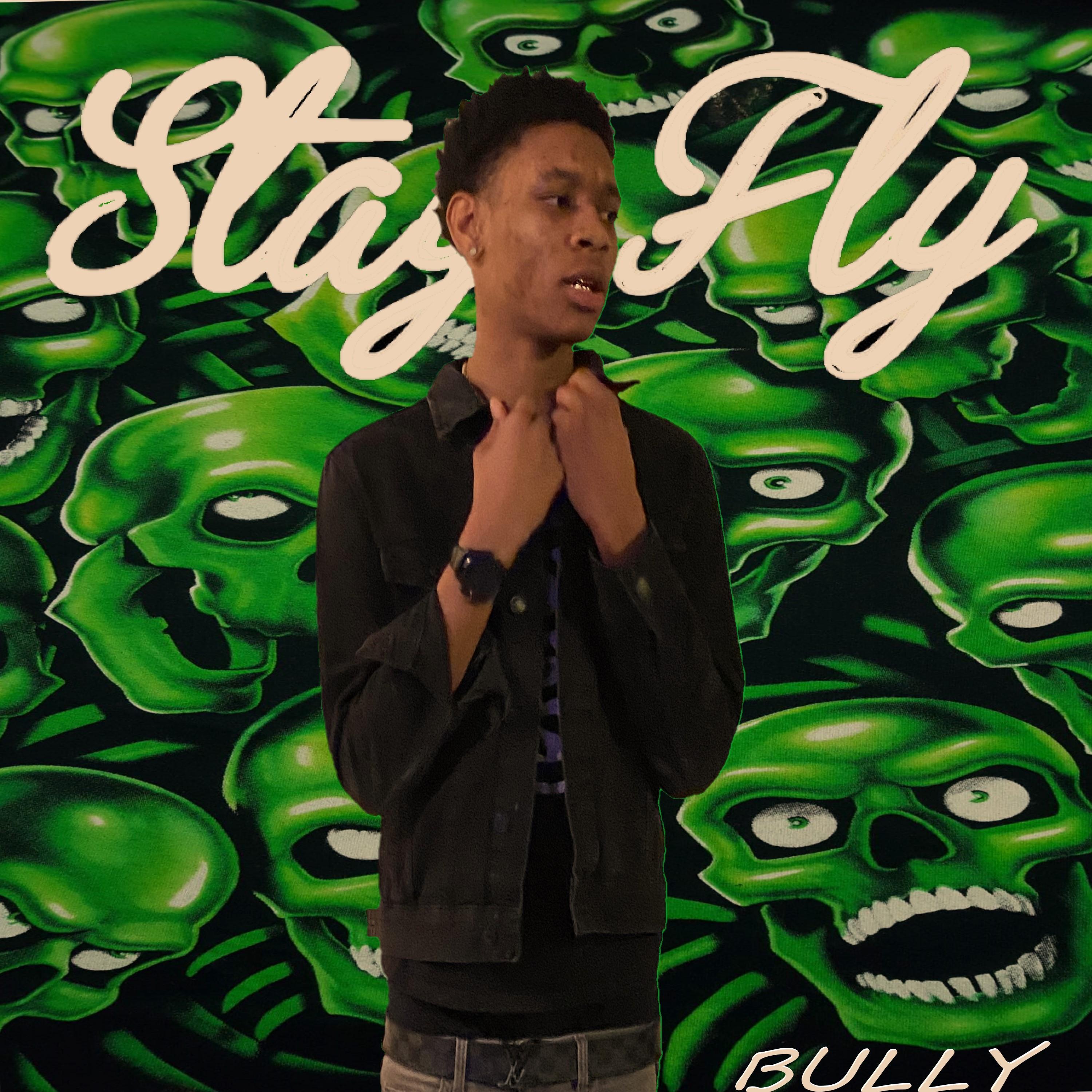 Stay Fly - Bully - 专辑 - 网易云音乐